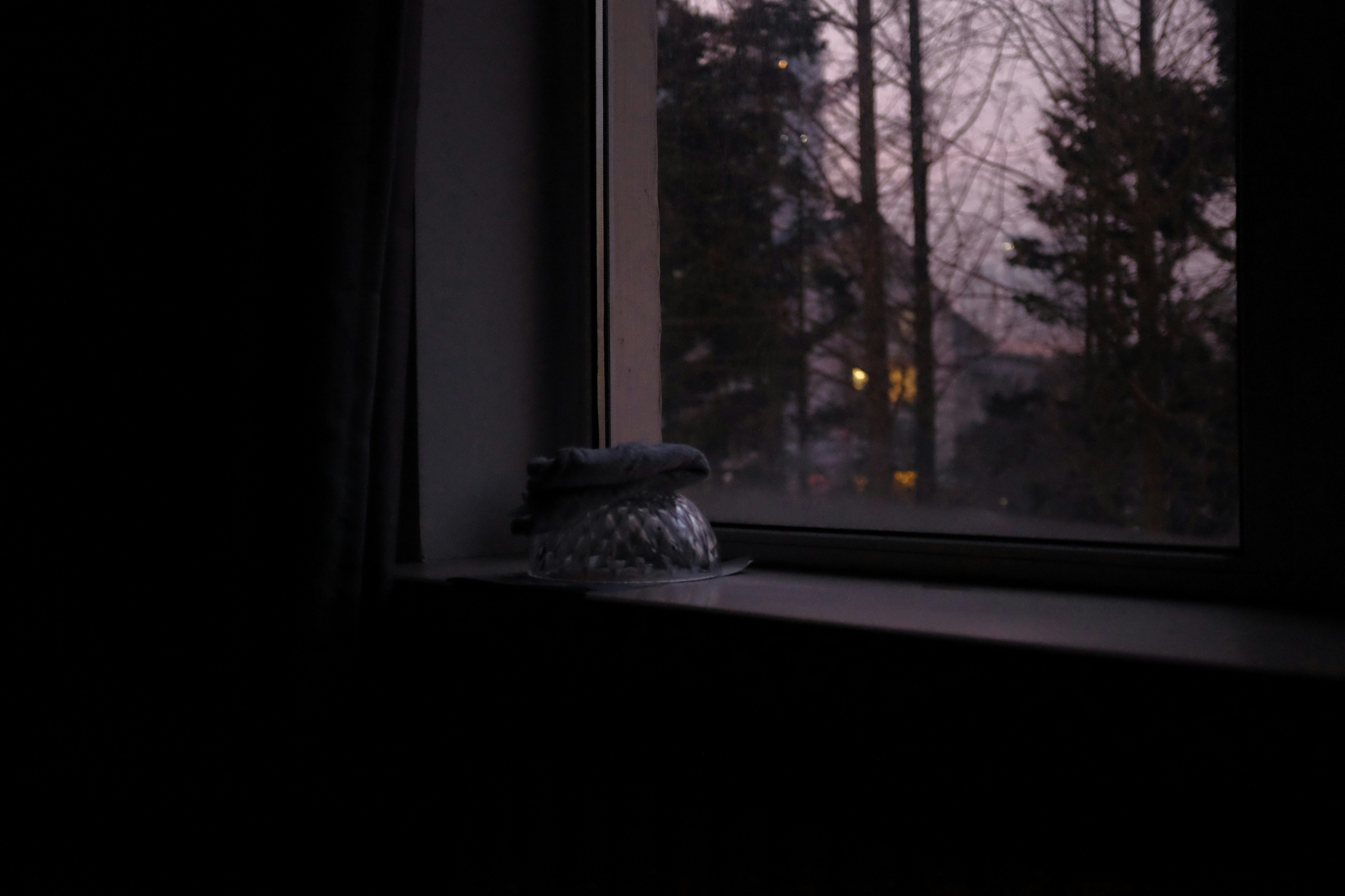 Silent Window: Twilight Light Filtering Through a Quiet Room
