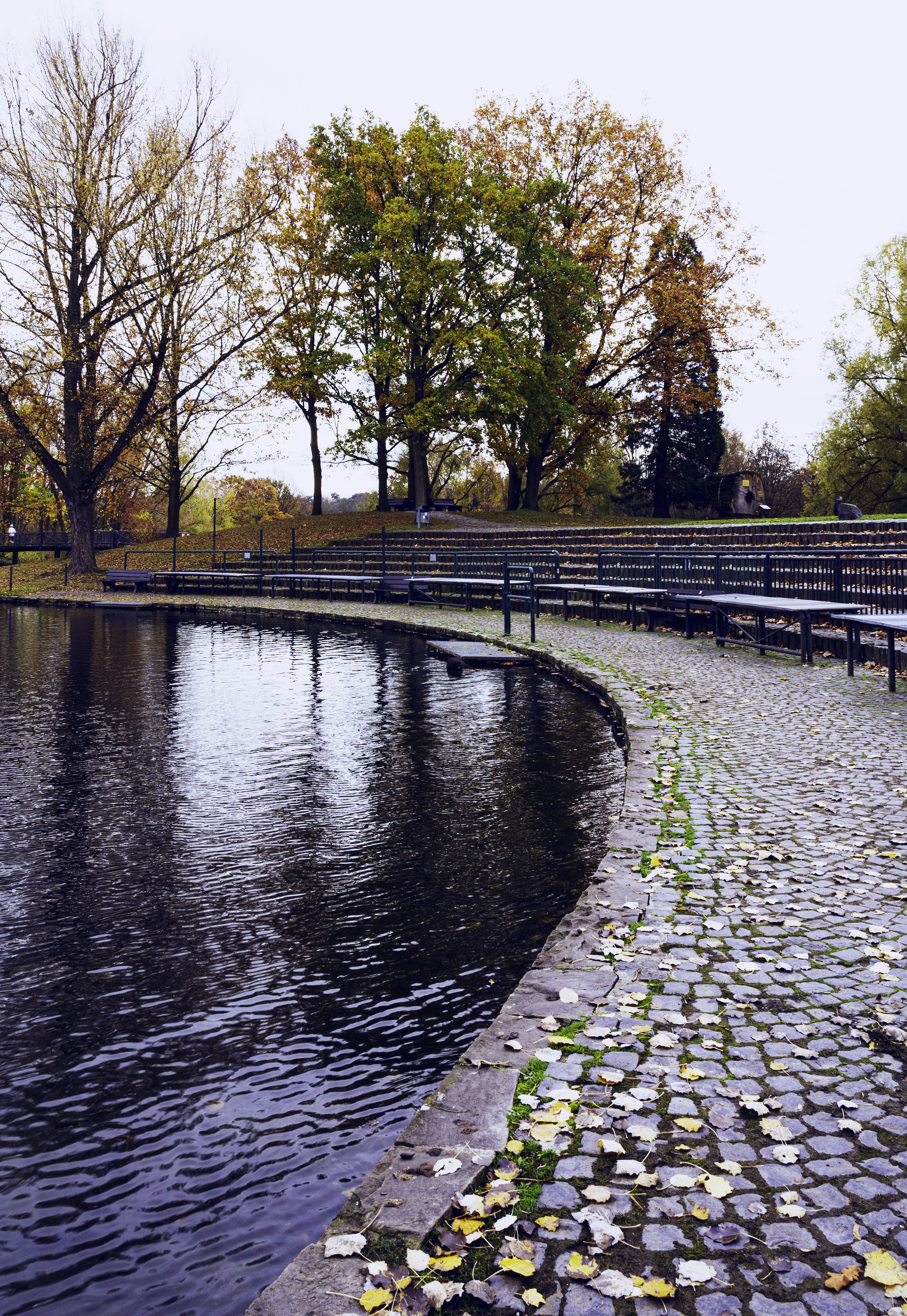 Autumn Riverside Promenade: Curving Cobblestones by a Quiet Lake