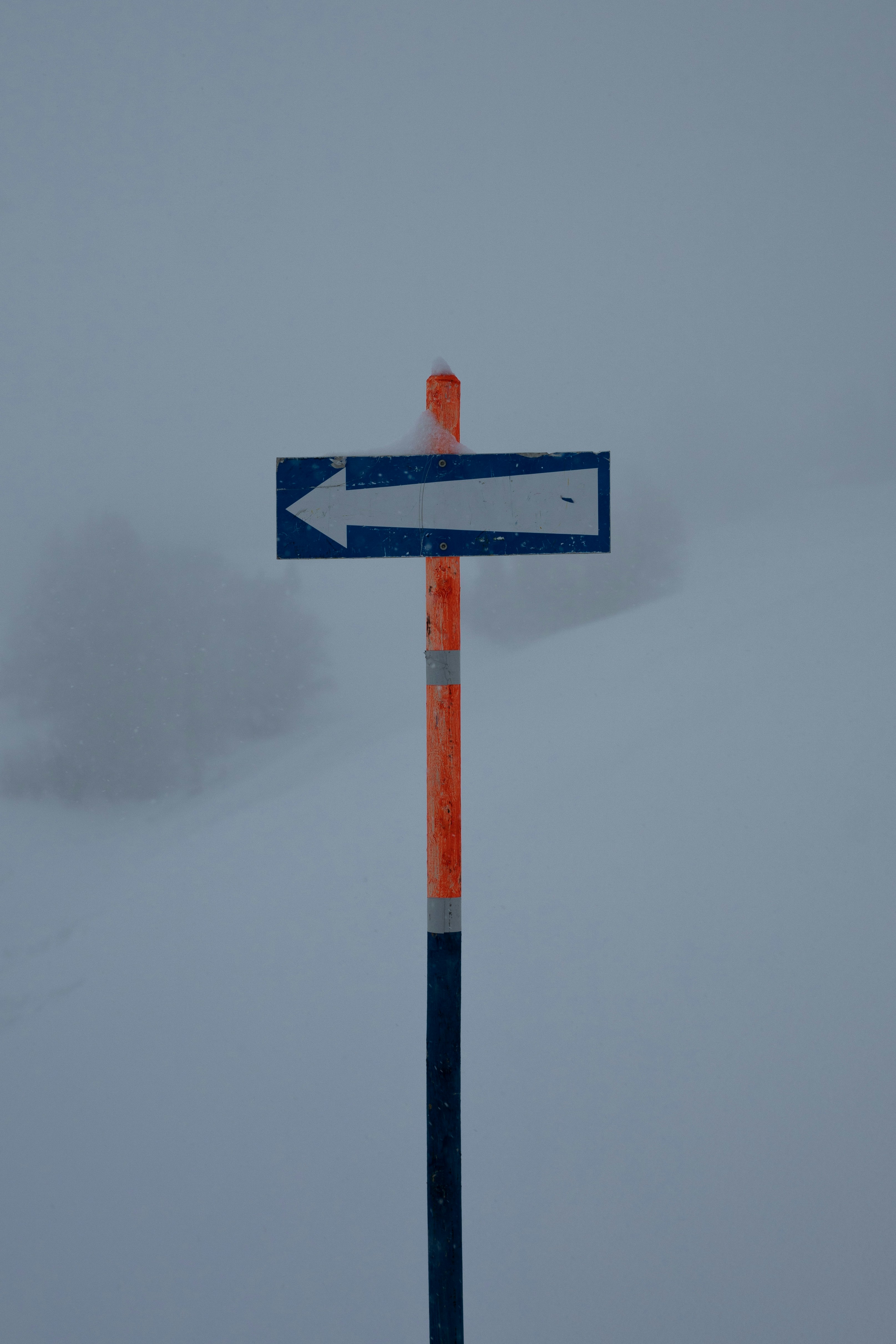 This Way Pictures | Download Free Images on Unsplash