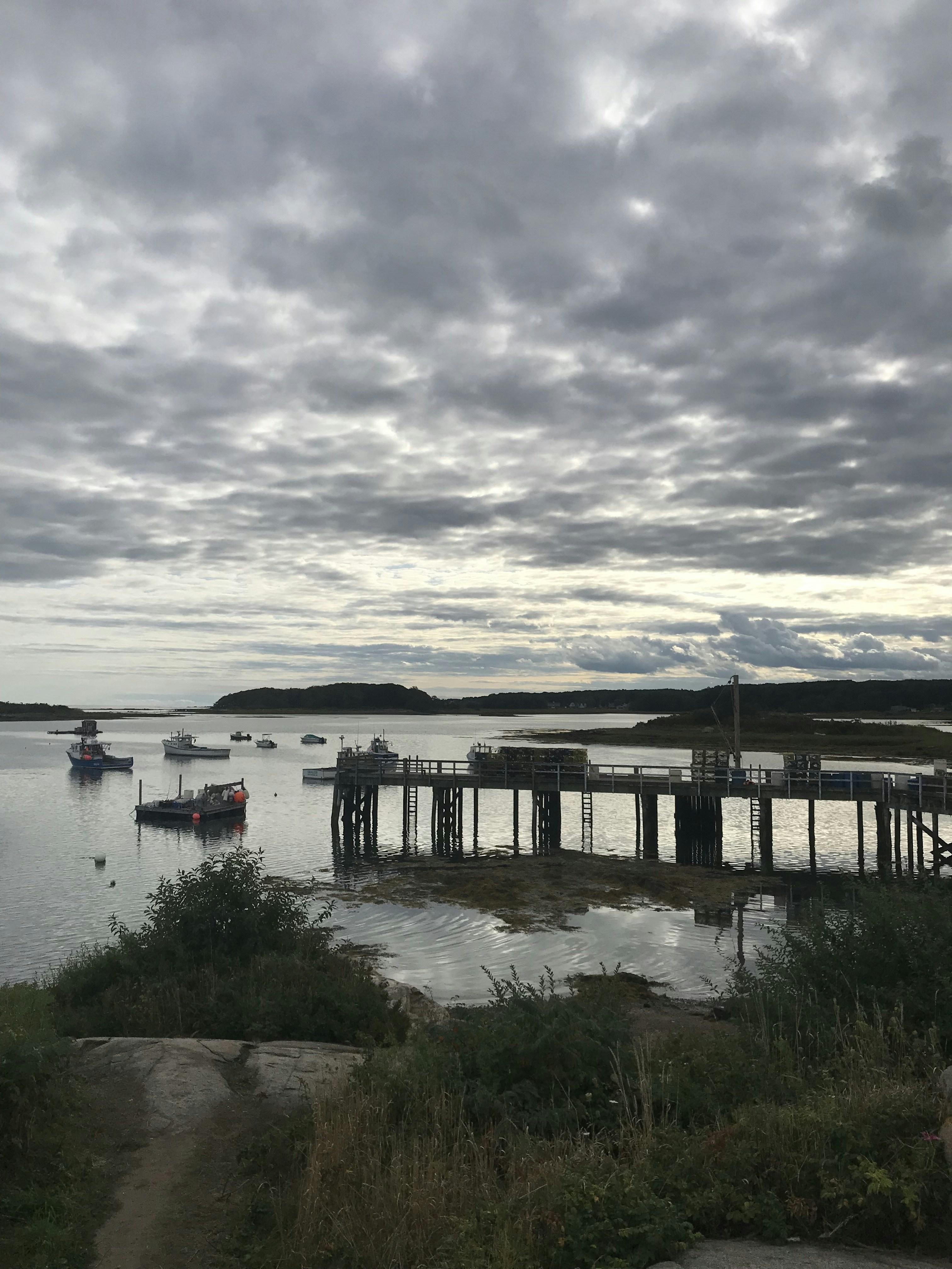 Fishing boats anchored near a wooden pier under a cloudy sky, reflecting the calm waters of the harbor.