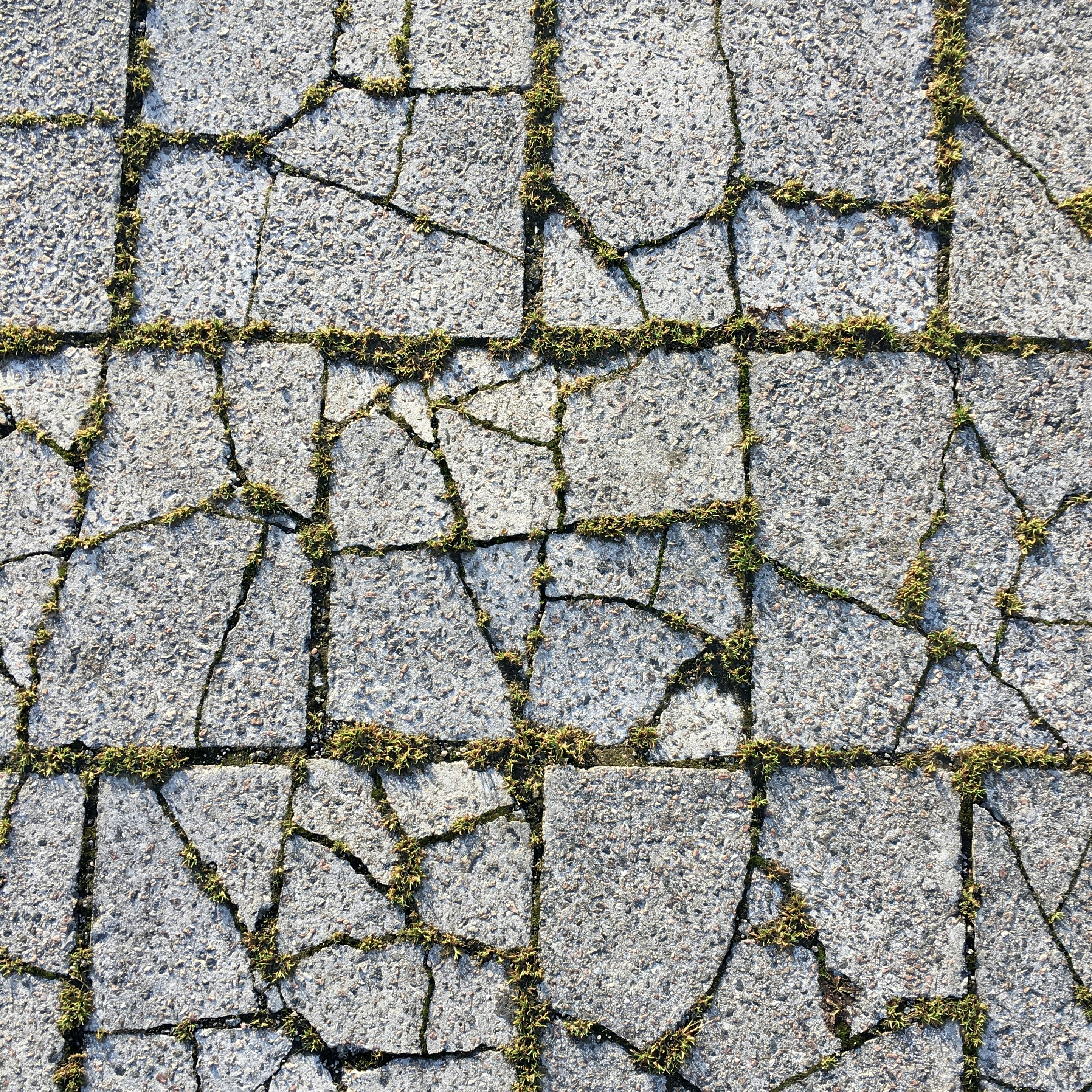 Stone Pavement Texture Seamless