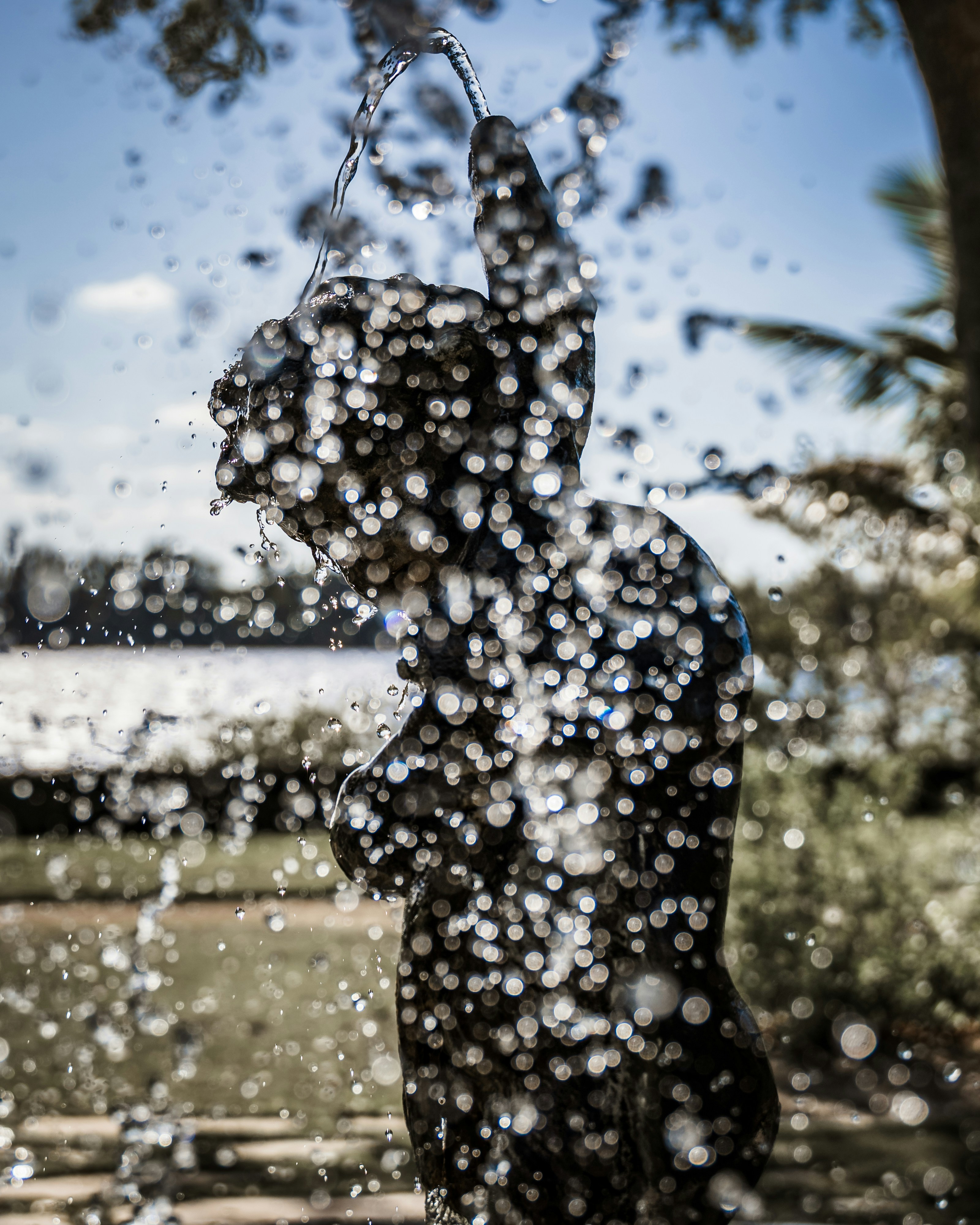 Watered in Silhouette: Dancing Water Droplets on a Sunlit Reveal