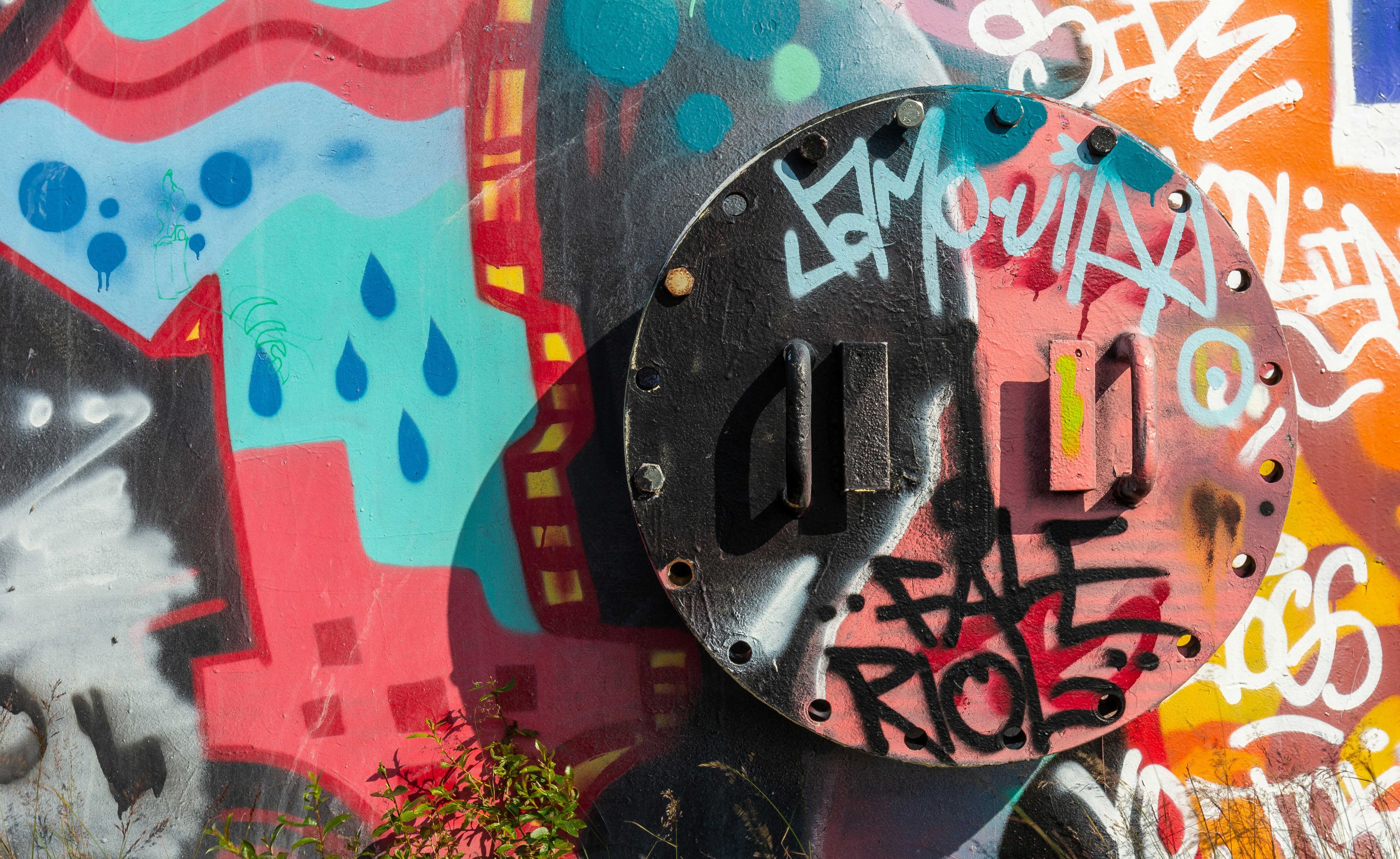 Lacquered Circle Amid Neon Graffiti
