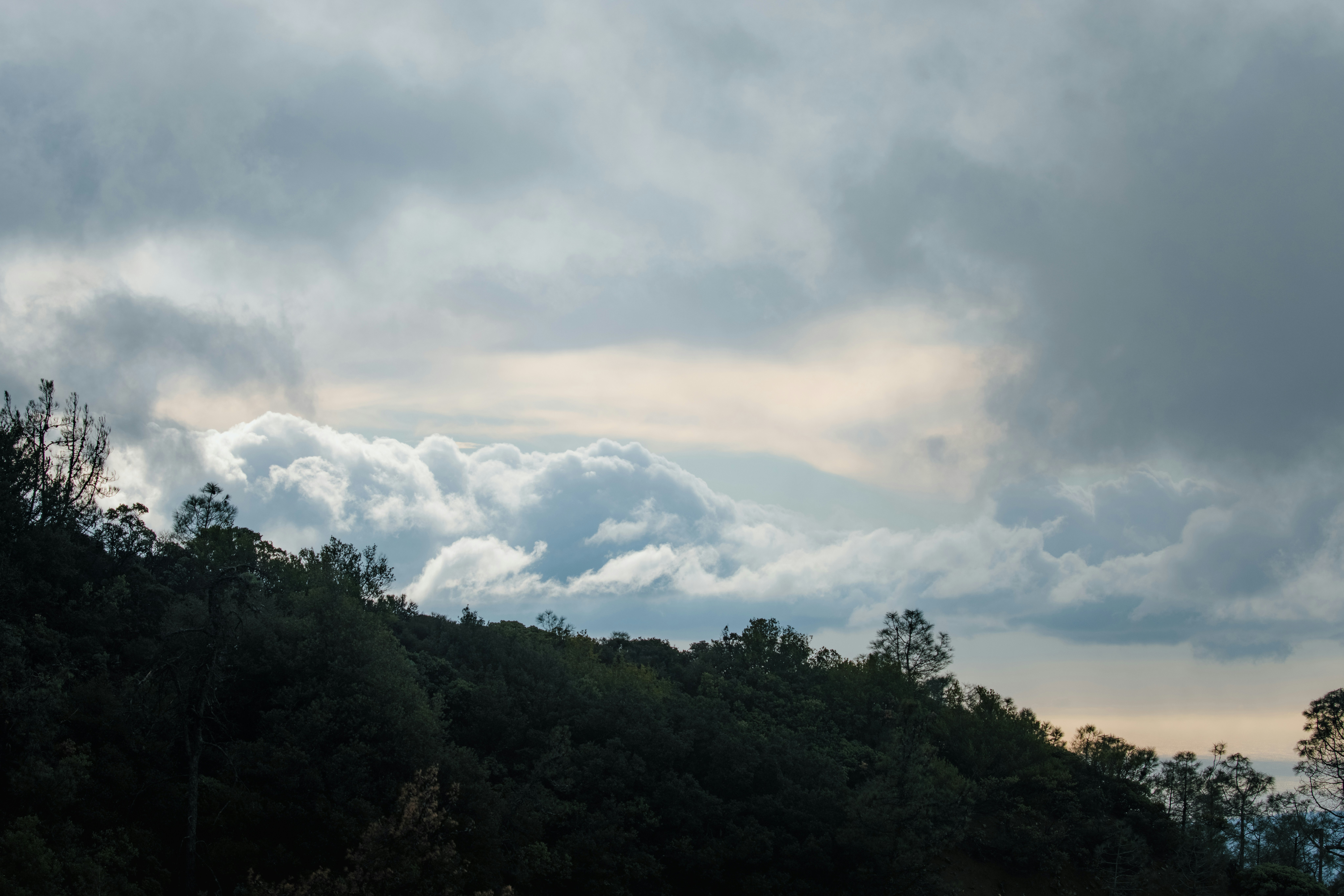 Dramatic clouds hover over a lush, green hillside under a soft, muted sky. The scene evokes a sense of tranquility and anticipation.