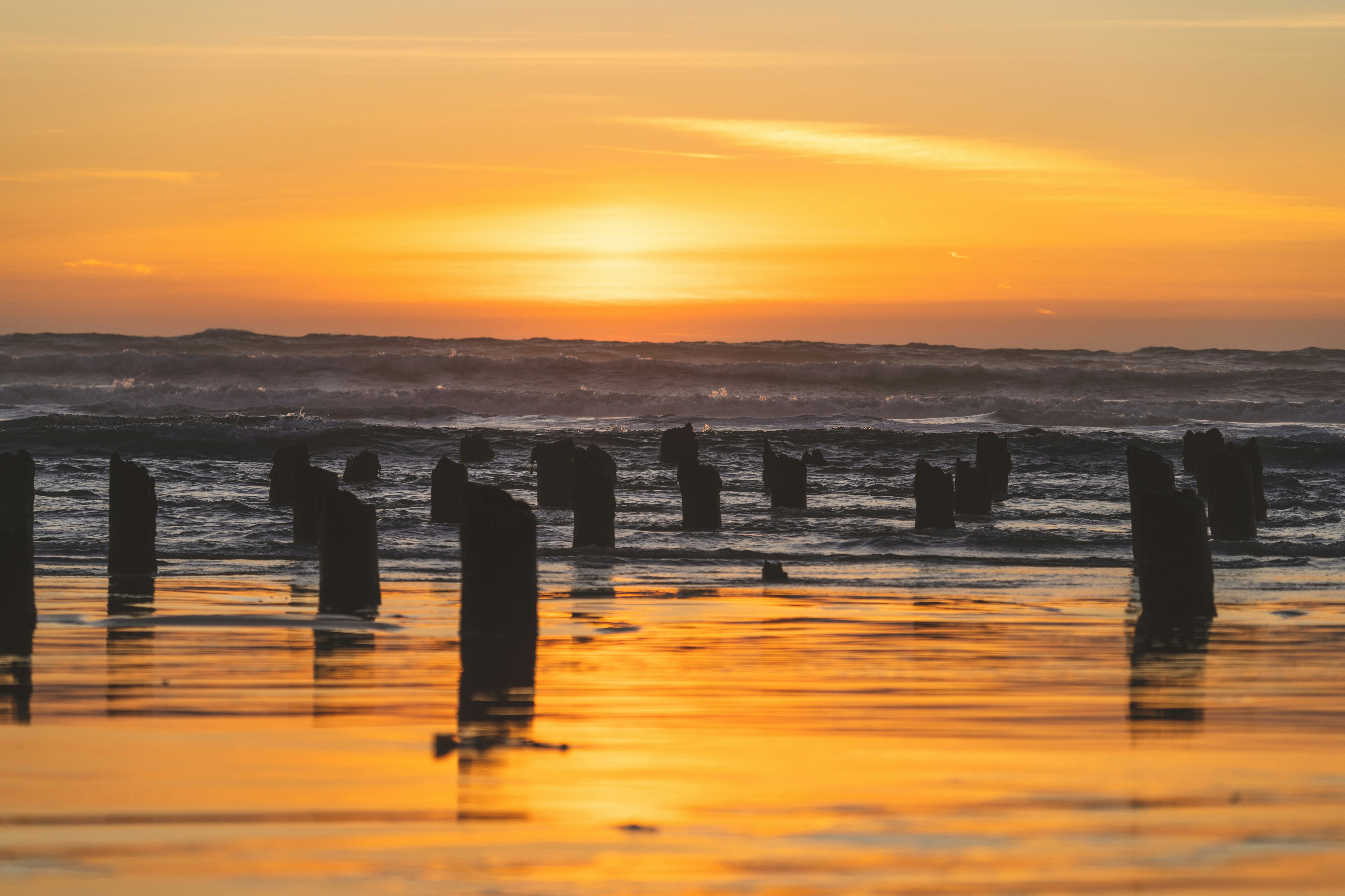 Silhouetted wooden posts on a beach reflect the vibrant hues of a setting sun.