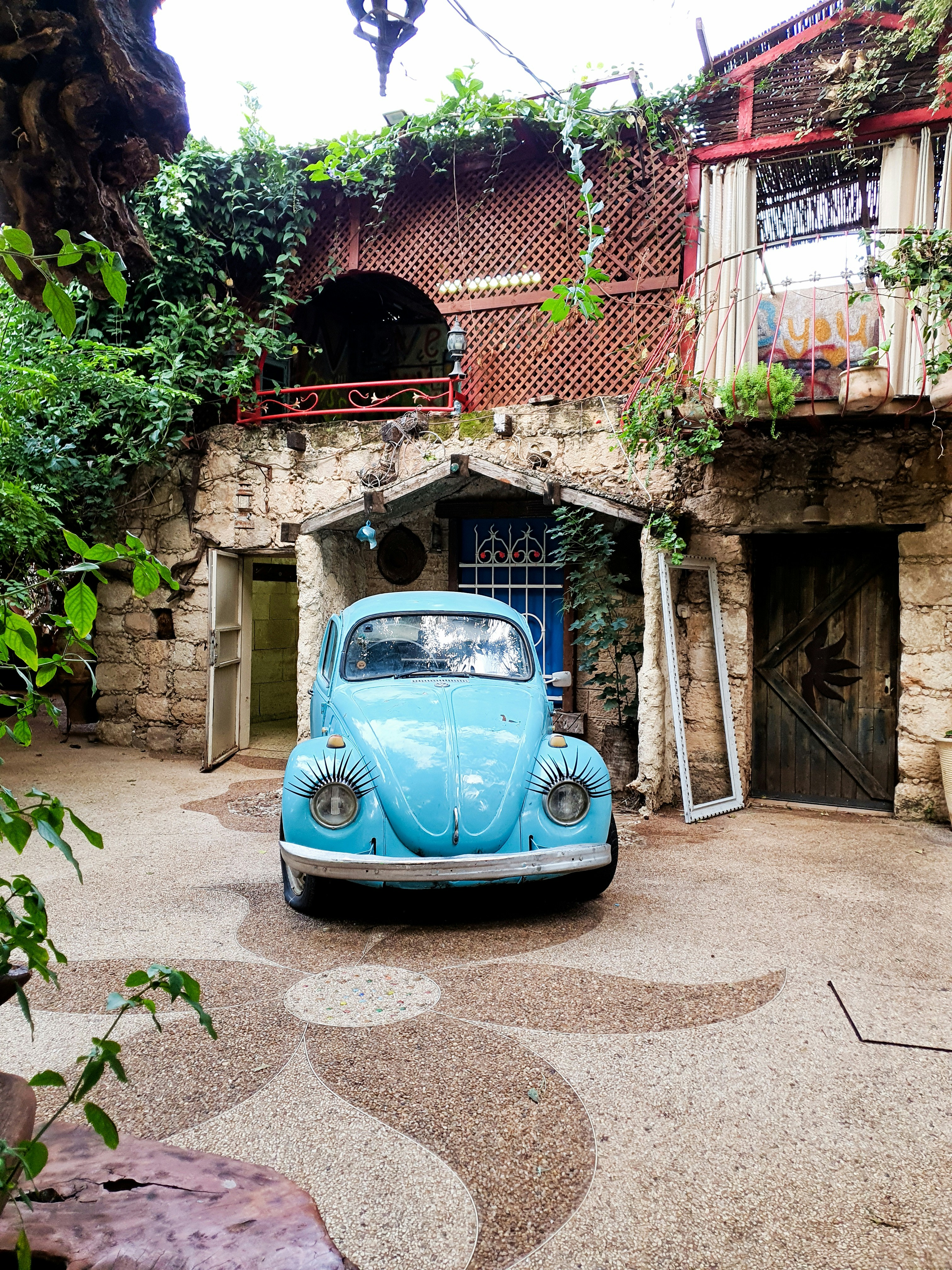 Turquoise Beetle Amid Ivy and Stone: Quiet Charm in a Rustic Courtyard