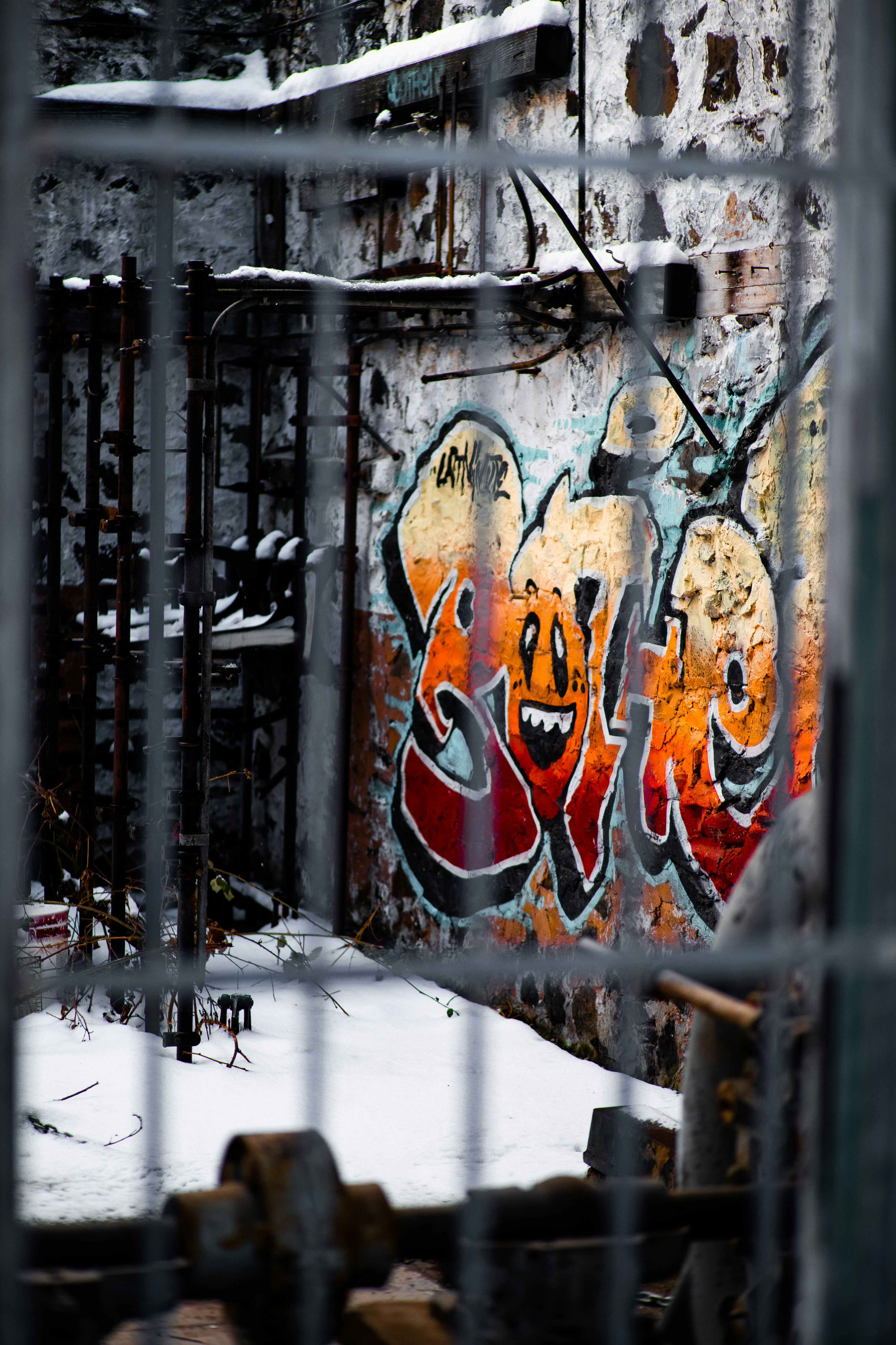 Orange Whimsy on a Snow-Kissed Brick Wall
