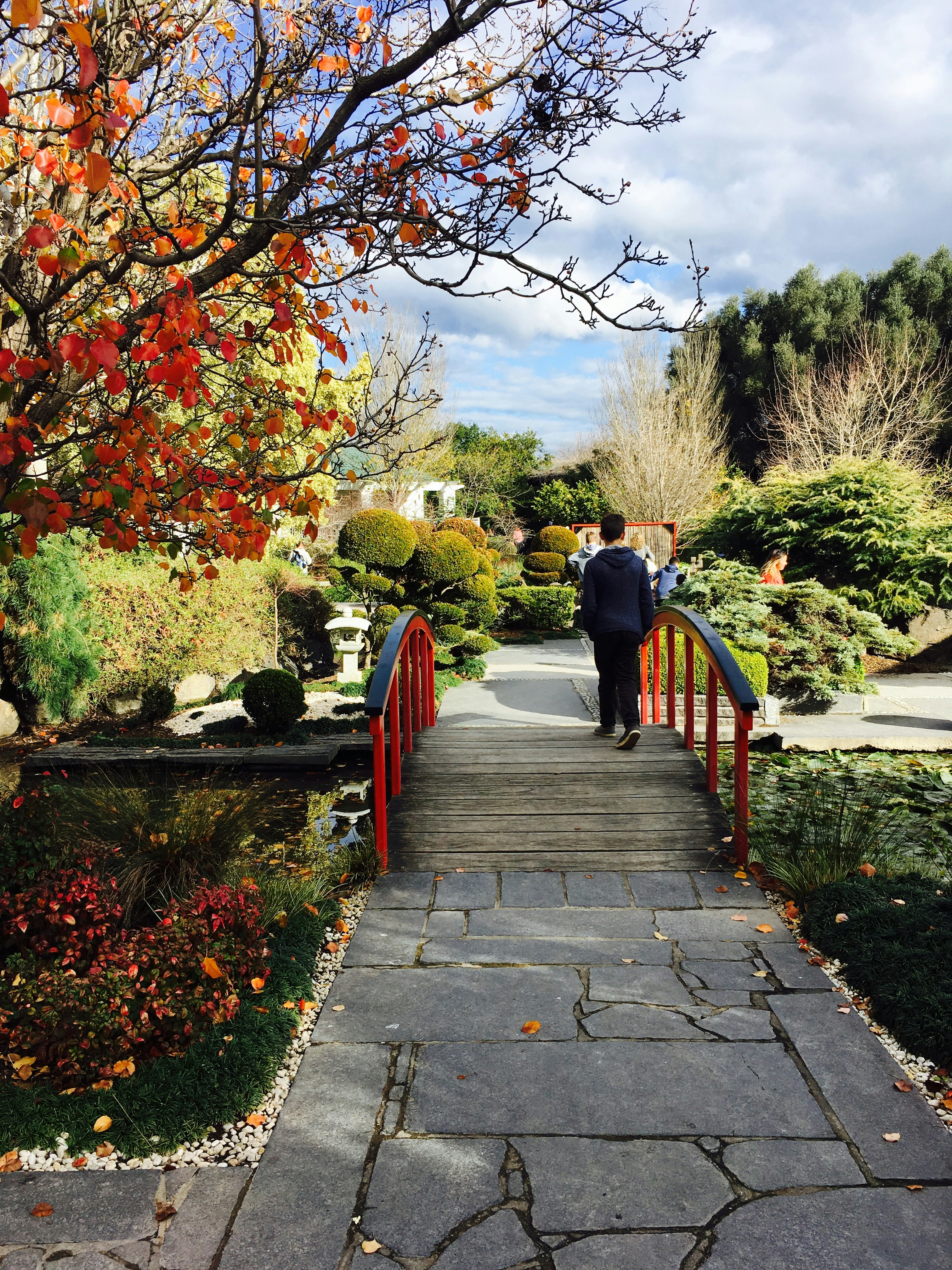 Crimson Bridge Reverie: A Quiet Autumn Stroll Through a Japanese Garden