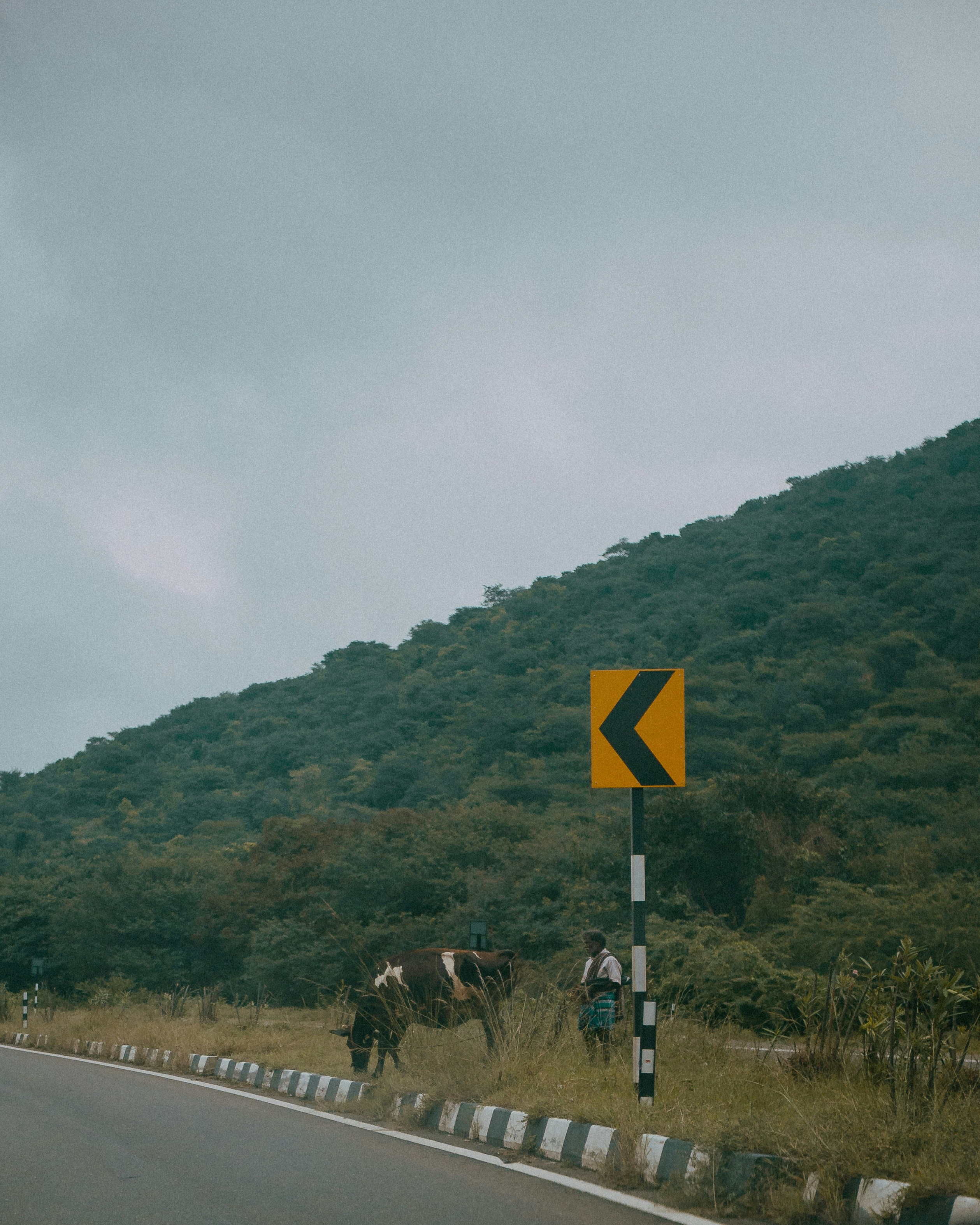 red and white road sign near green mountain during daytime