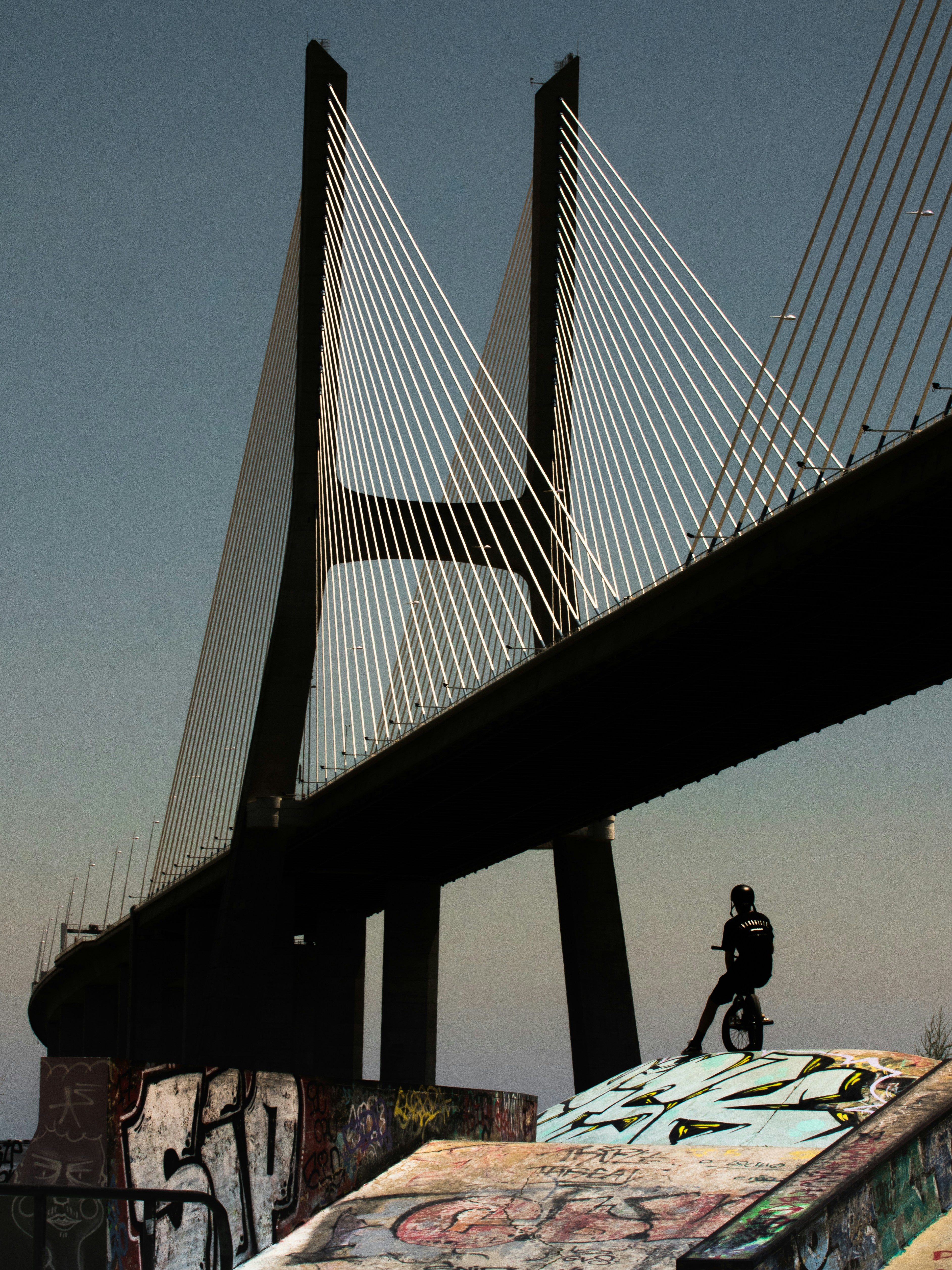 Vertical Cables and Skate Park under the Giant Cable-Stayed Span