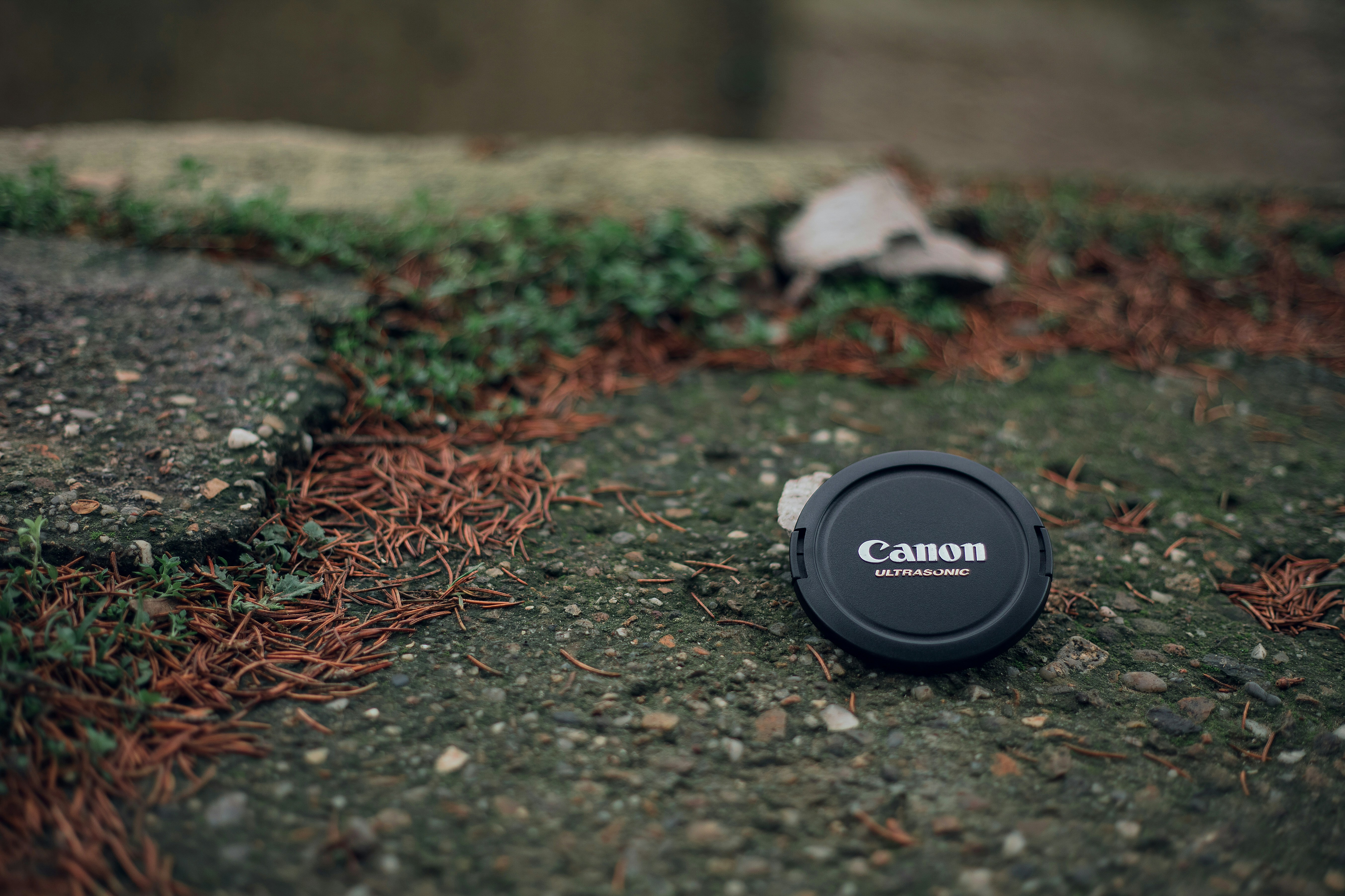 Canon cap resting on mossy concrete after rain