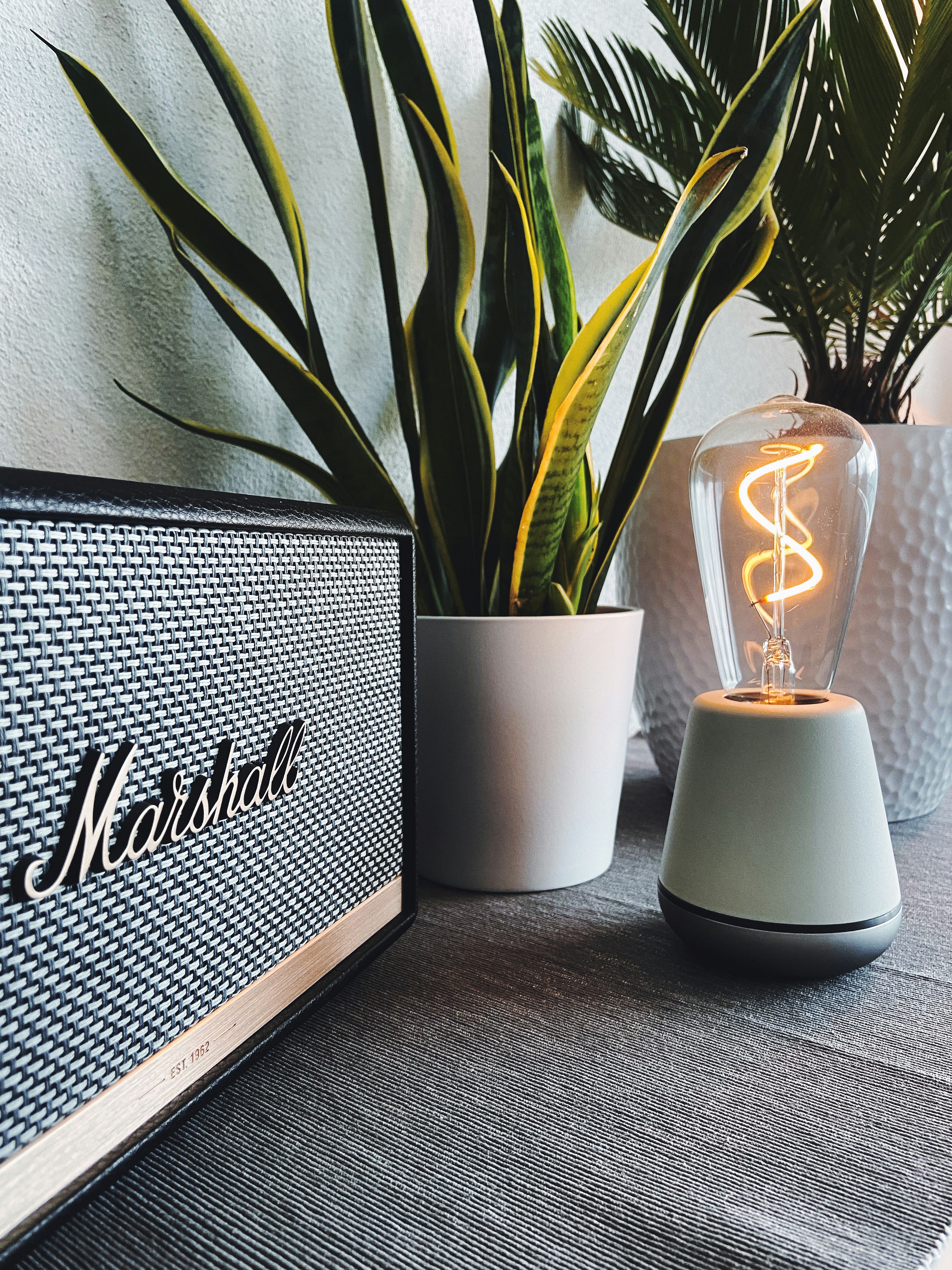 A stylish Marshall speaker beside a contemporary light bulb with a spiral filament, set against a backdrop of lush green plants in a minimalist interior.