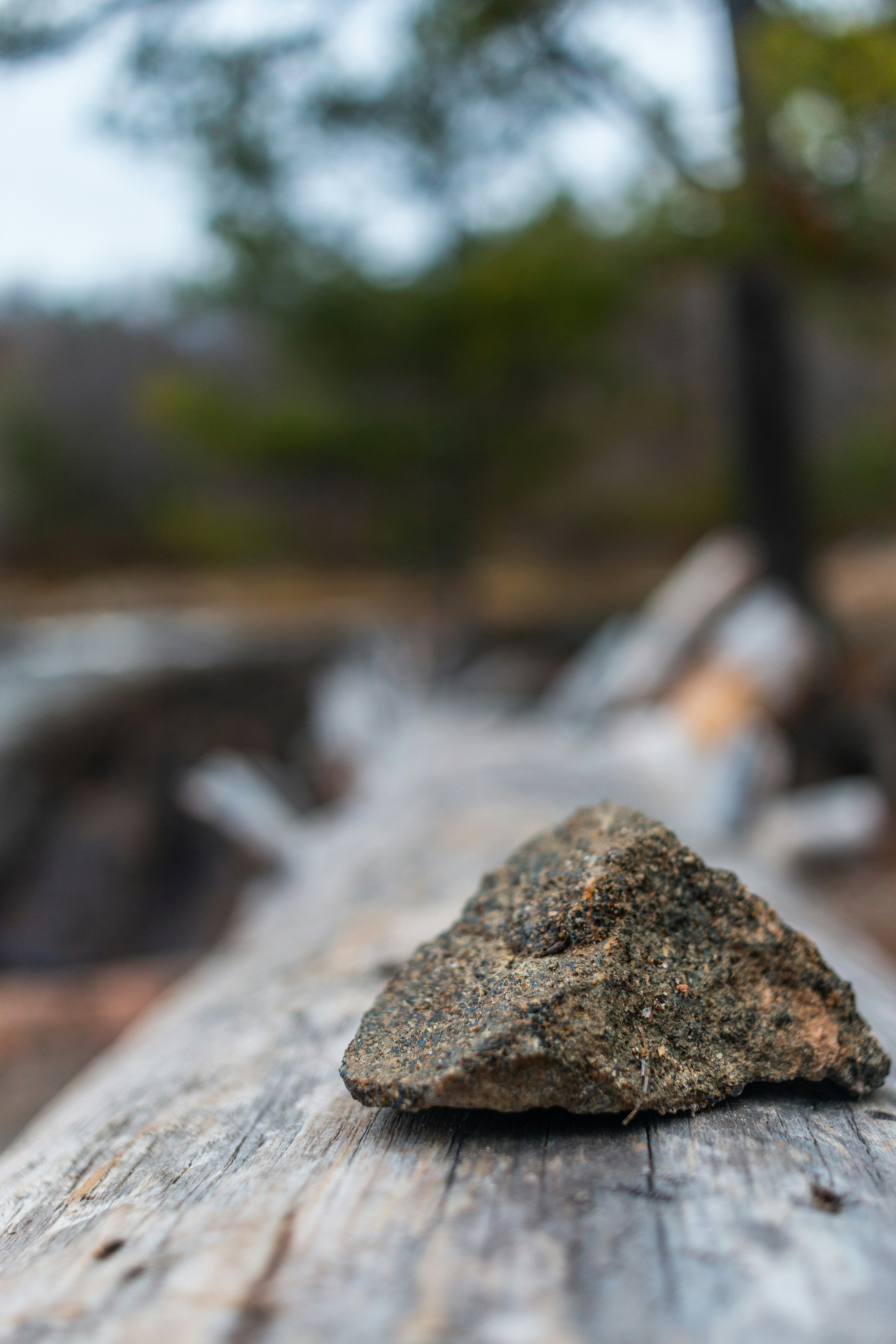 Black and gray rock near green trees during daytime photo – Free ...