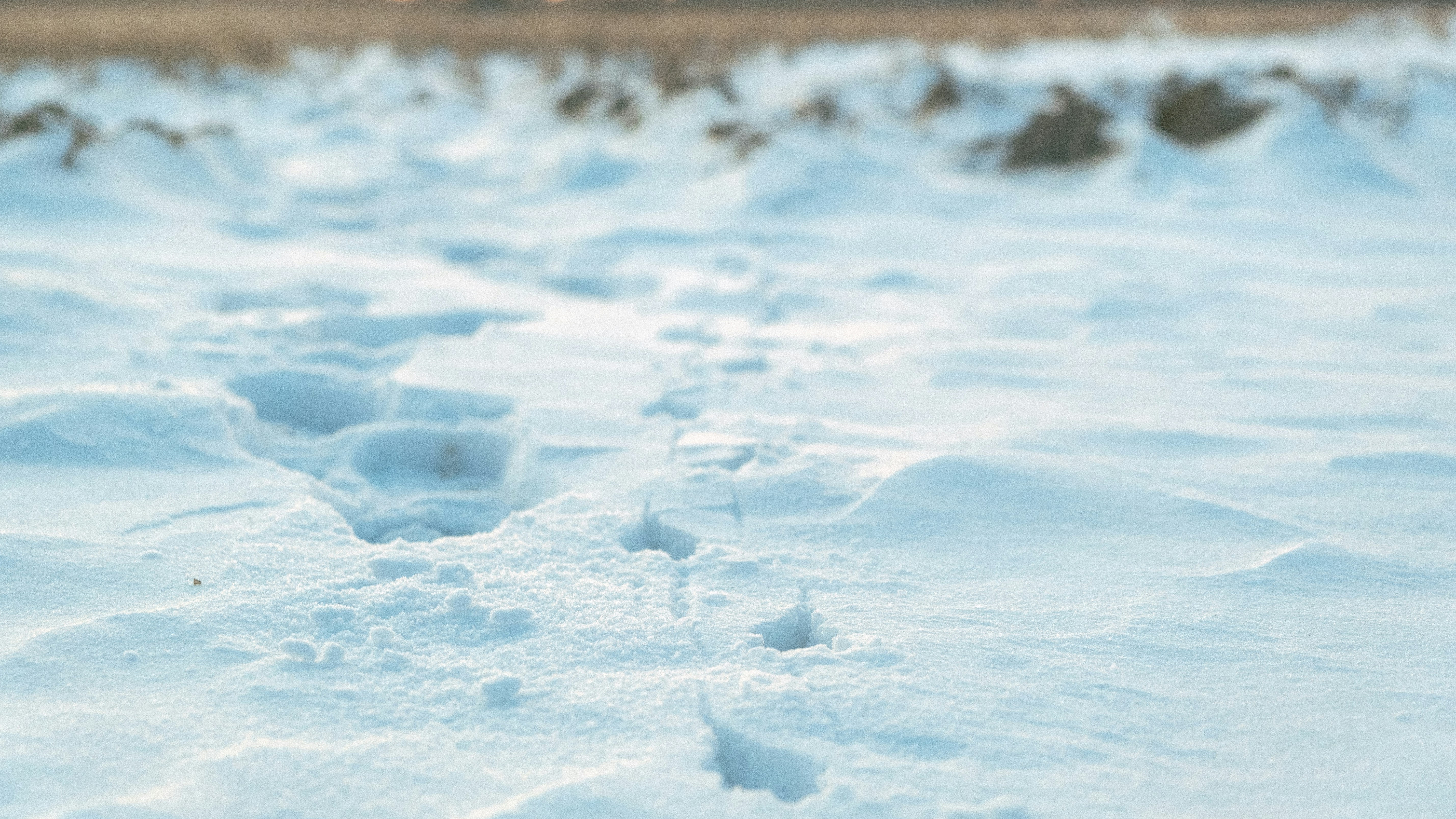 White snow on field during daytime photo – Free Usa Image on Unsplash