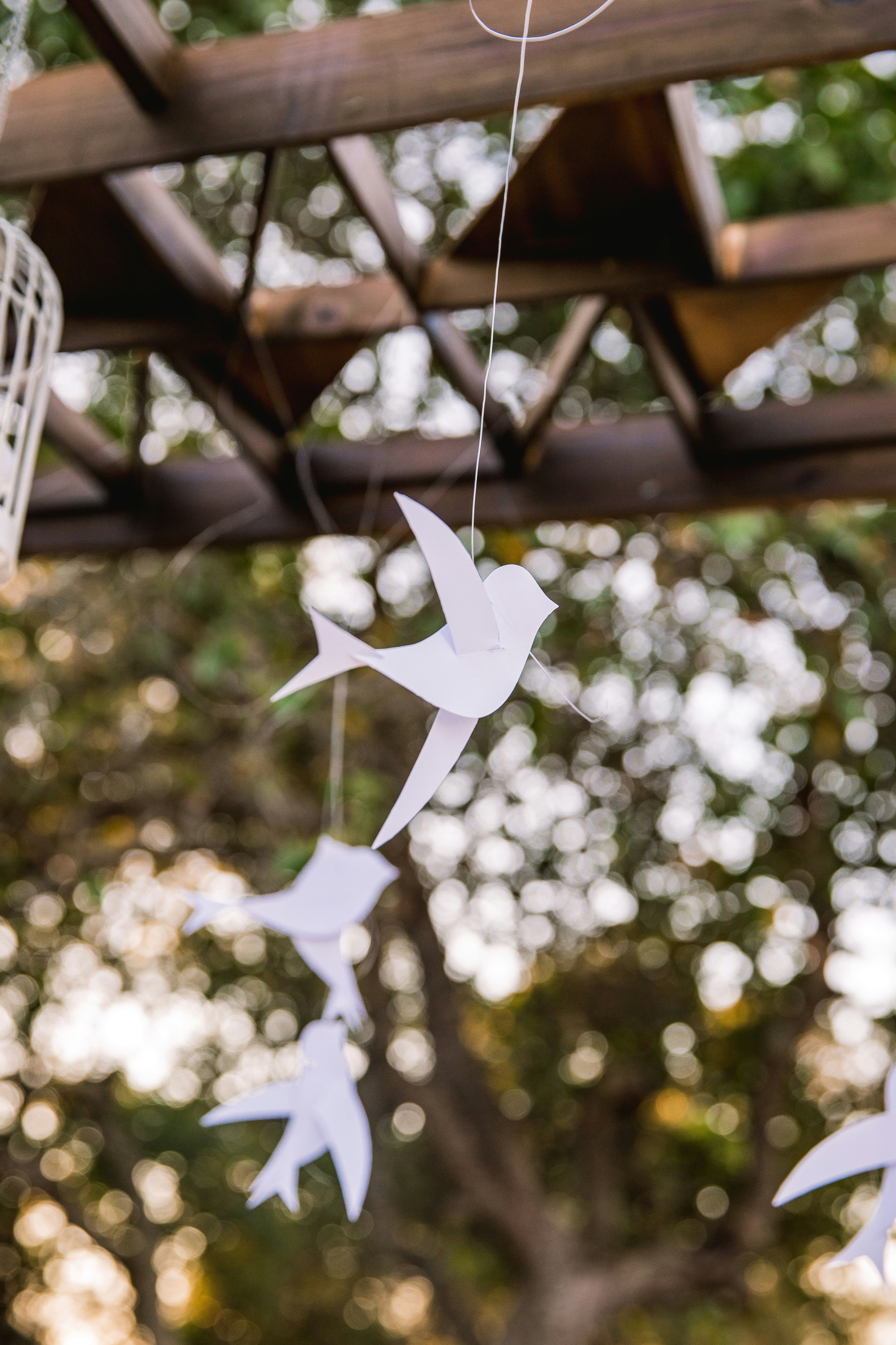 Whimsical String of Paper Birds in a Sunlit Garden