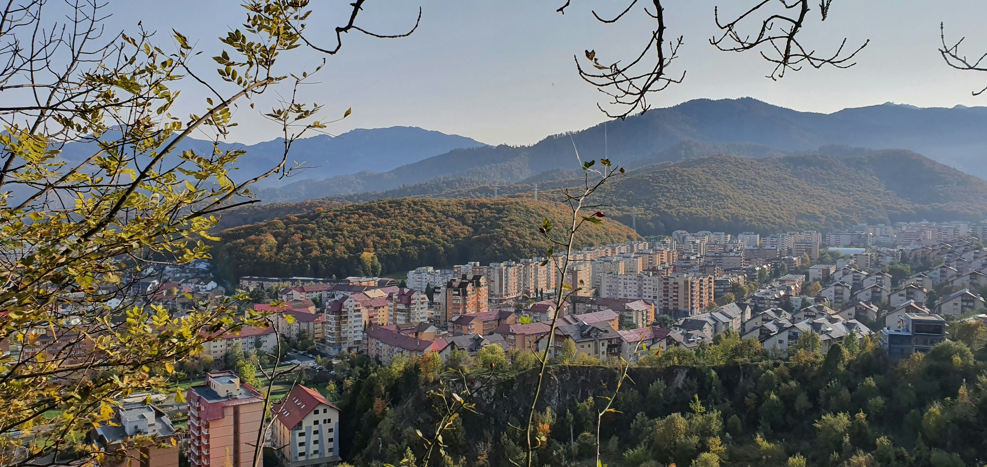 日中の都市の建物の航空写真の写真 – Unsplashの建物の無料画像