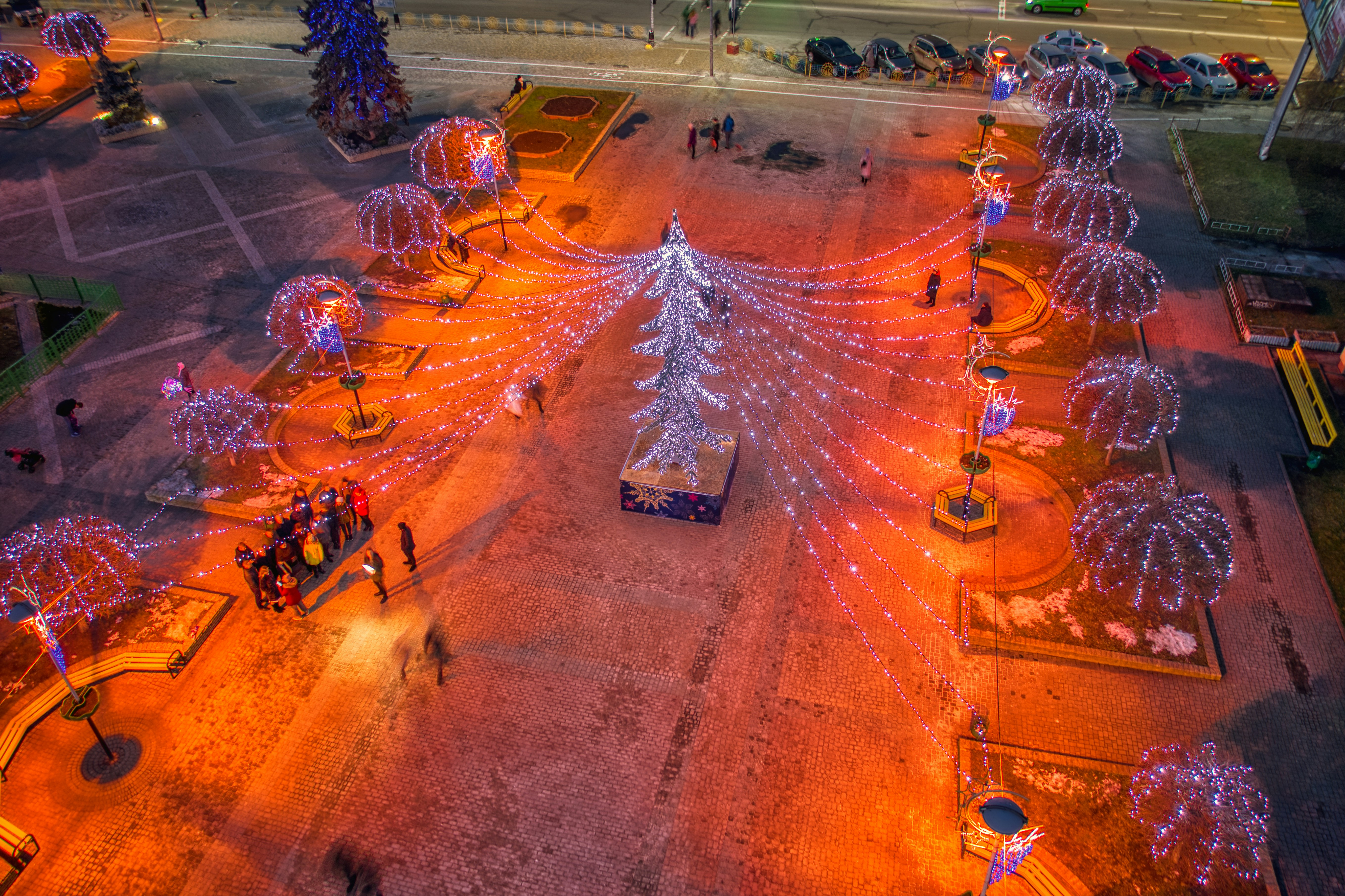 Midnight Orchard: Illuminated Sphere of Winter Lights