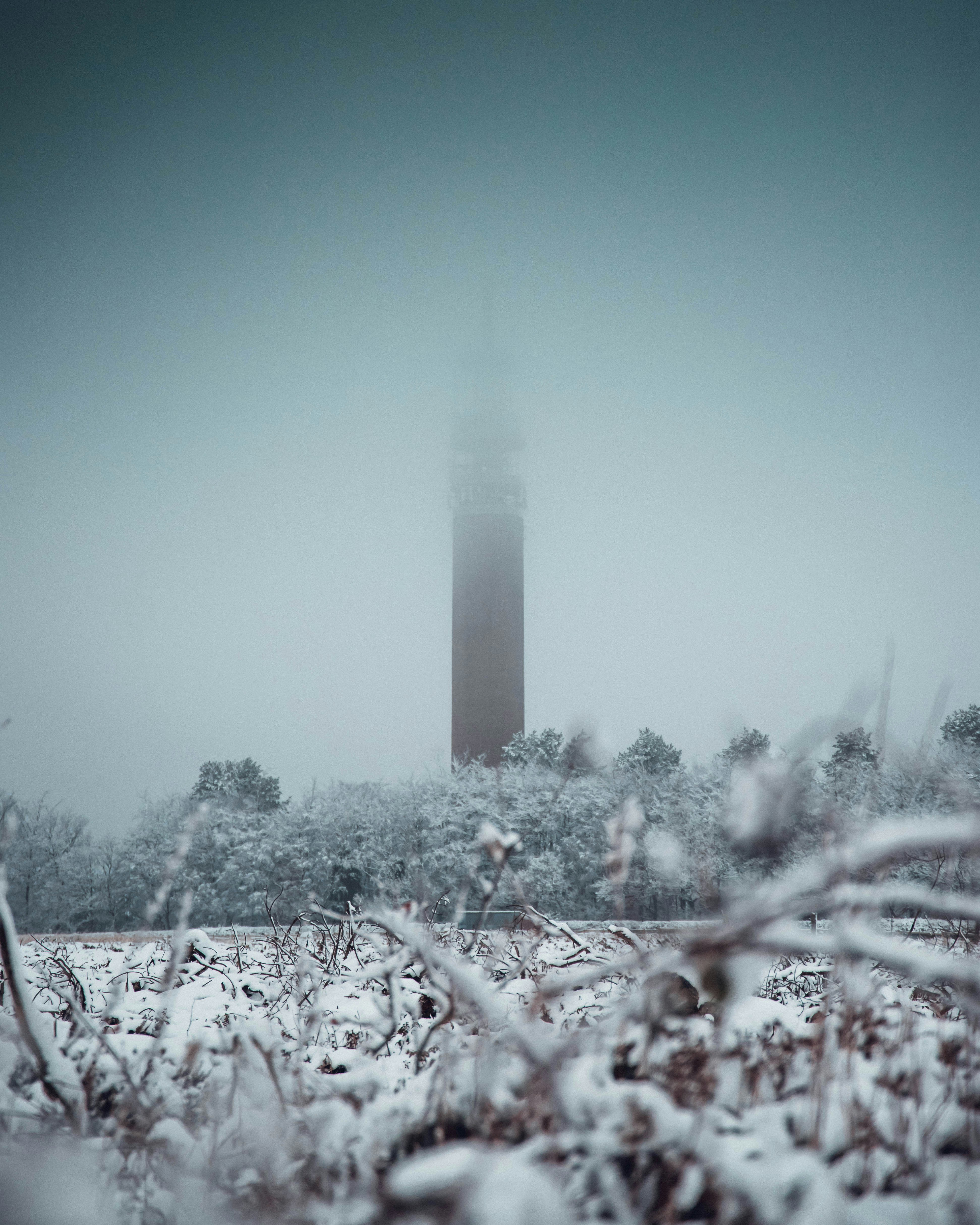 Mistbound Spire: a Tower Emerges Through Winter Fog