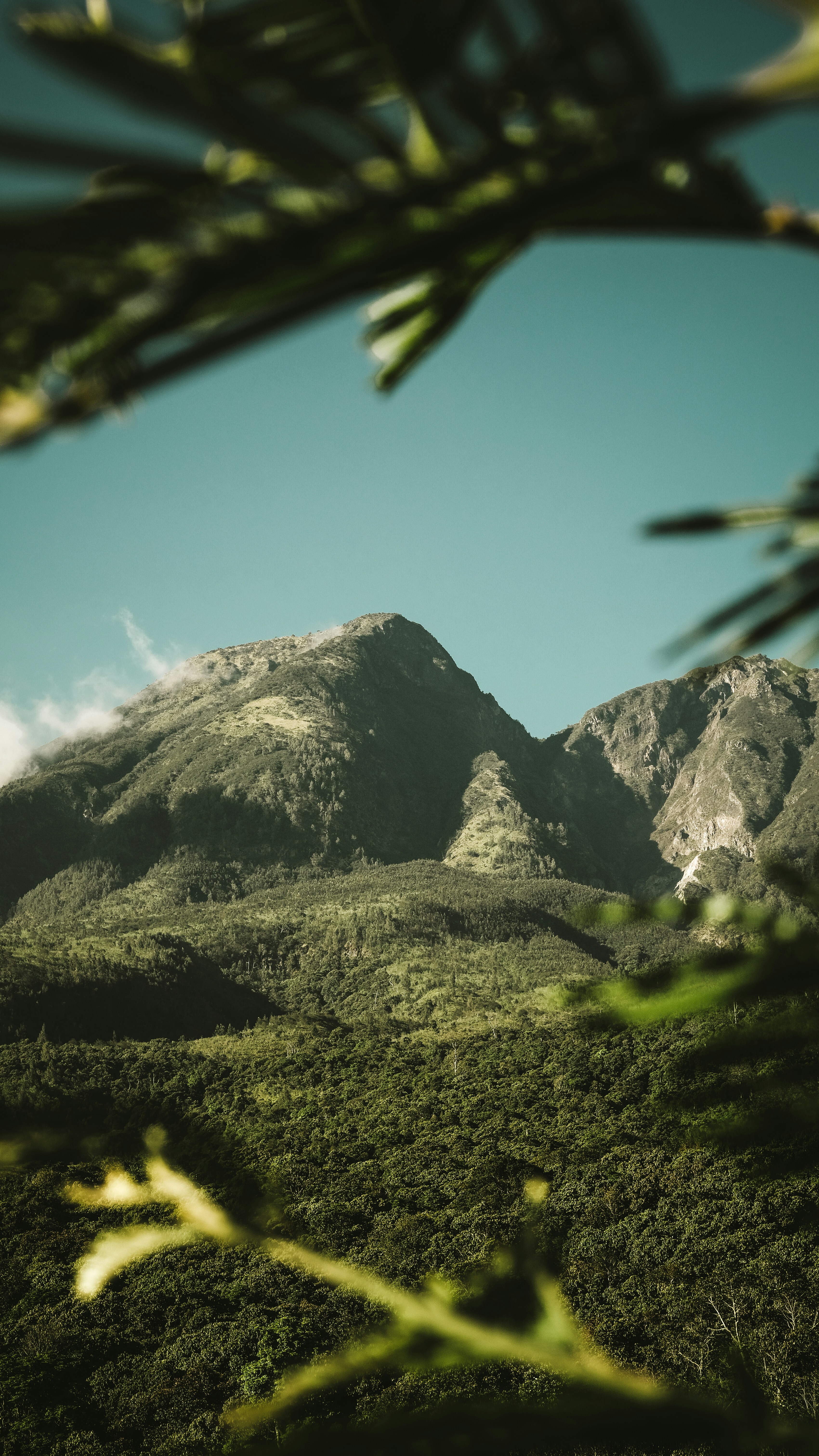 Boim (@boim_24) | Komunitas Foto Unsplash