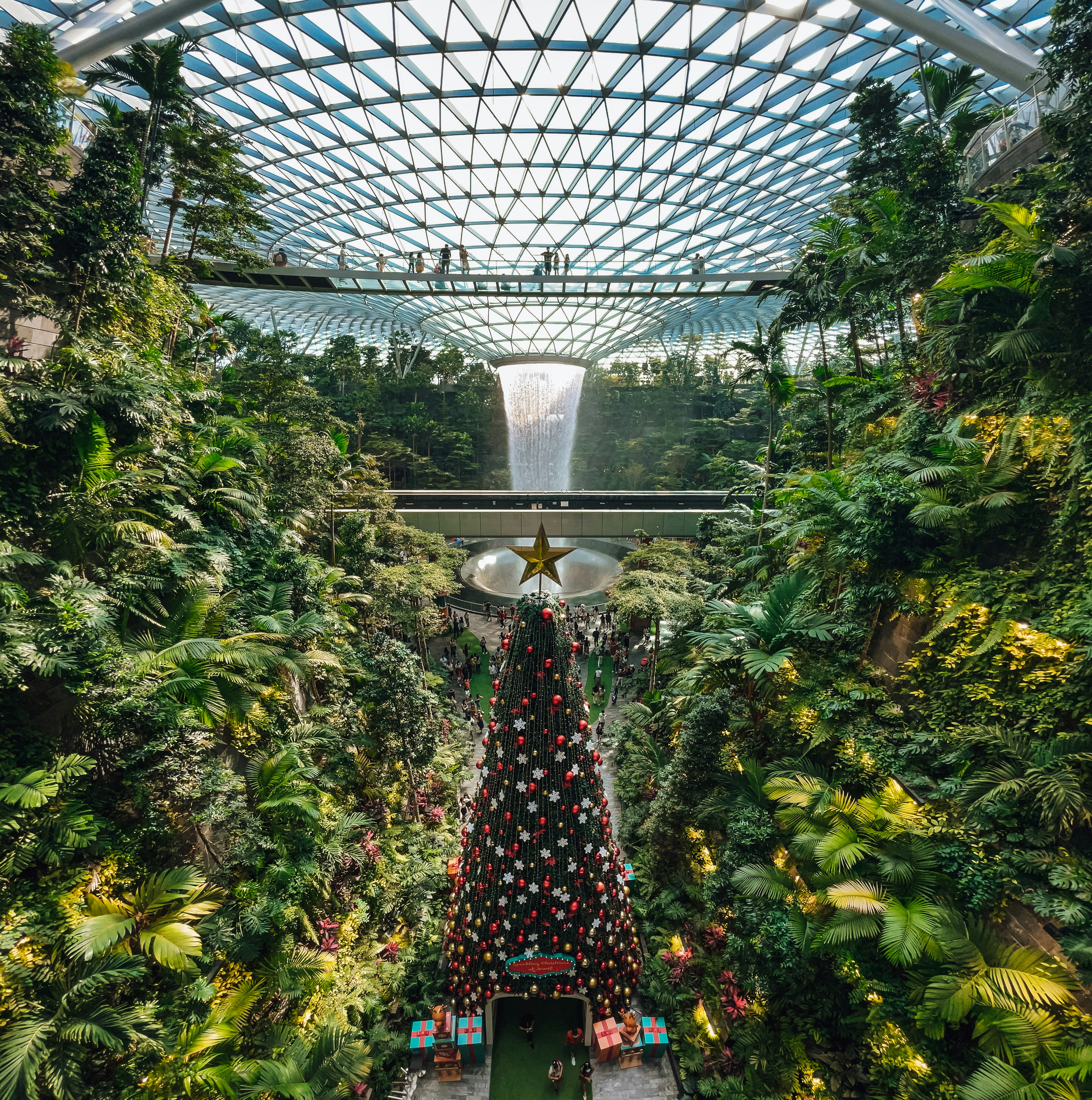 A Glass Conservatory Christmas: Central Tree Beneath a Skyof Metal and Green