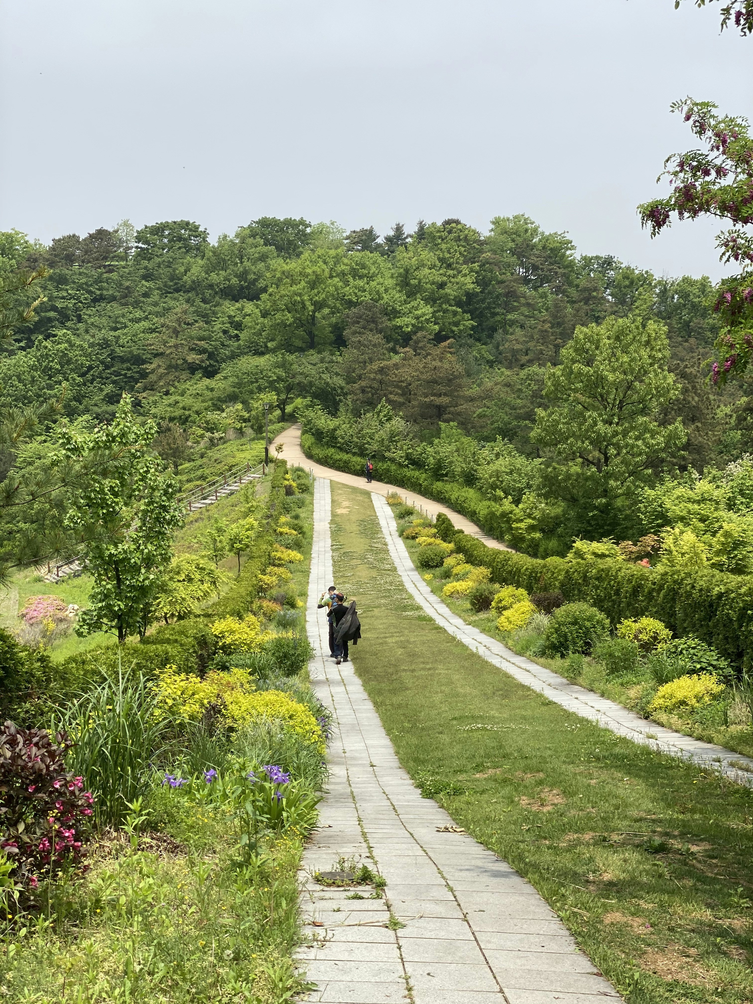 Person walking on pathway between green trees during daytime photo ...