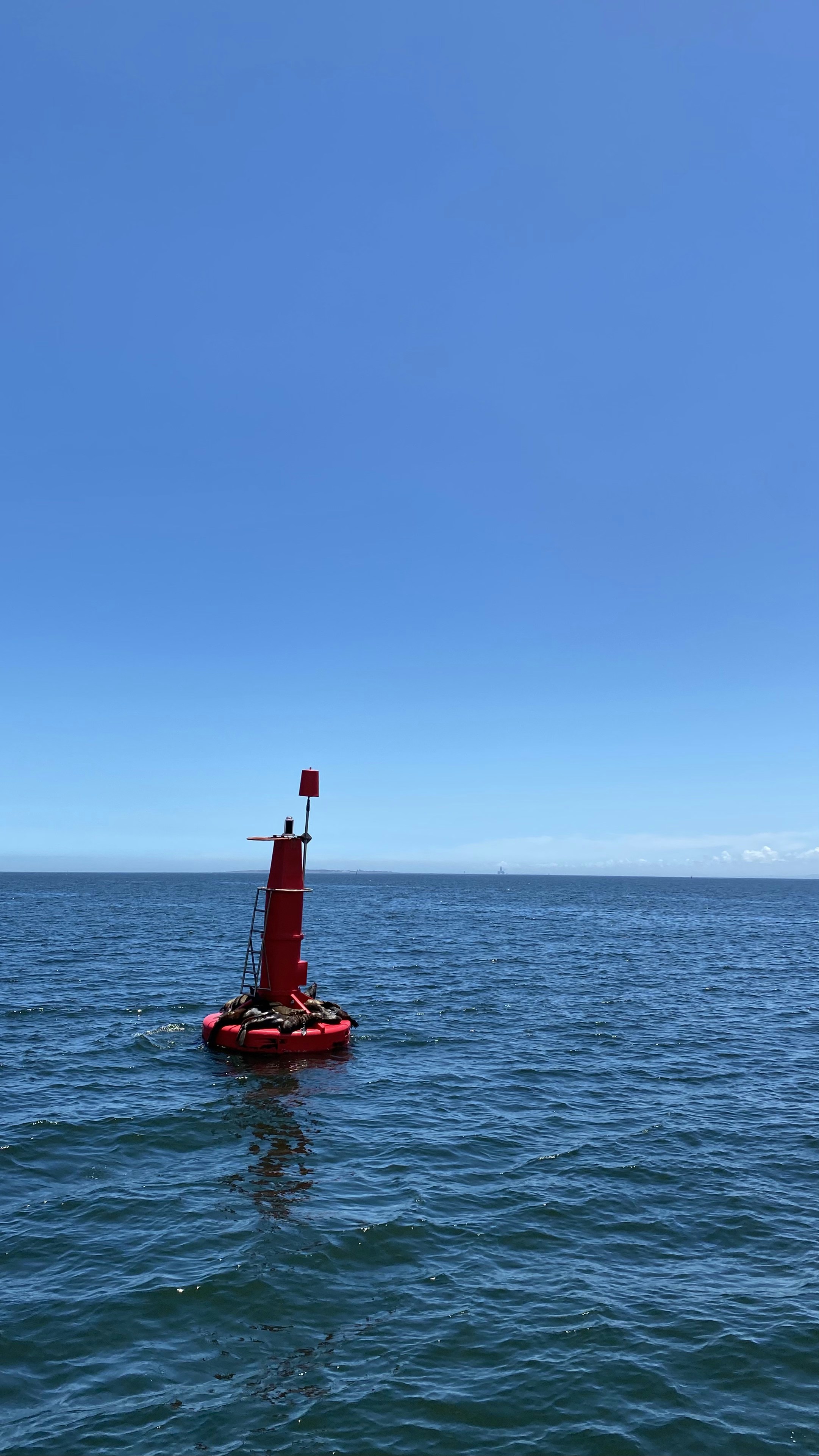 Red and white light post on sea under blue sky during daytime photo ...