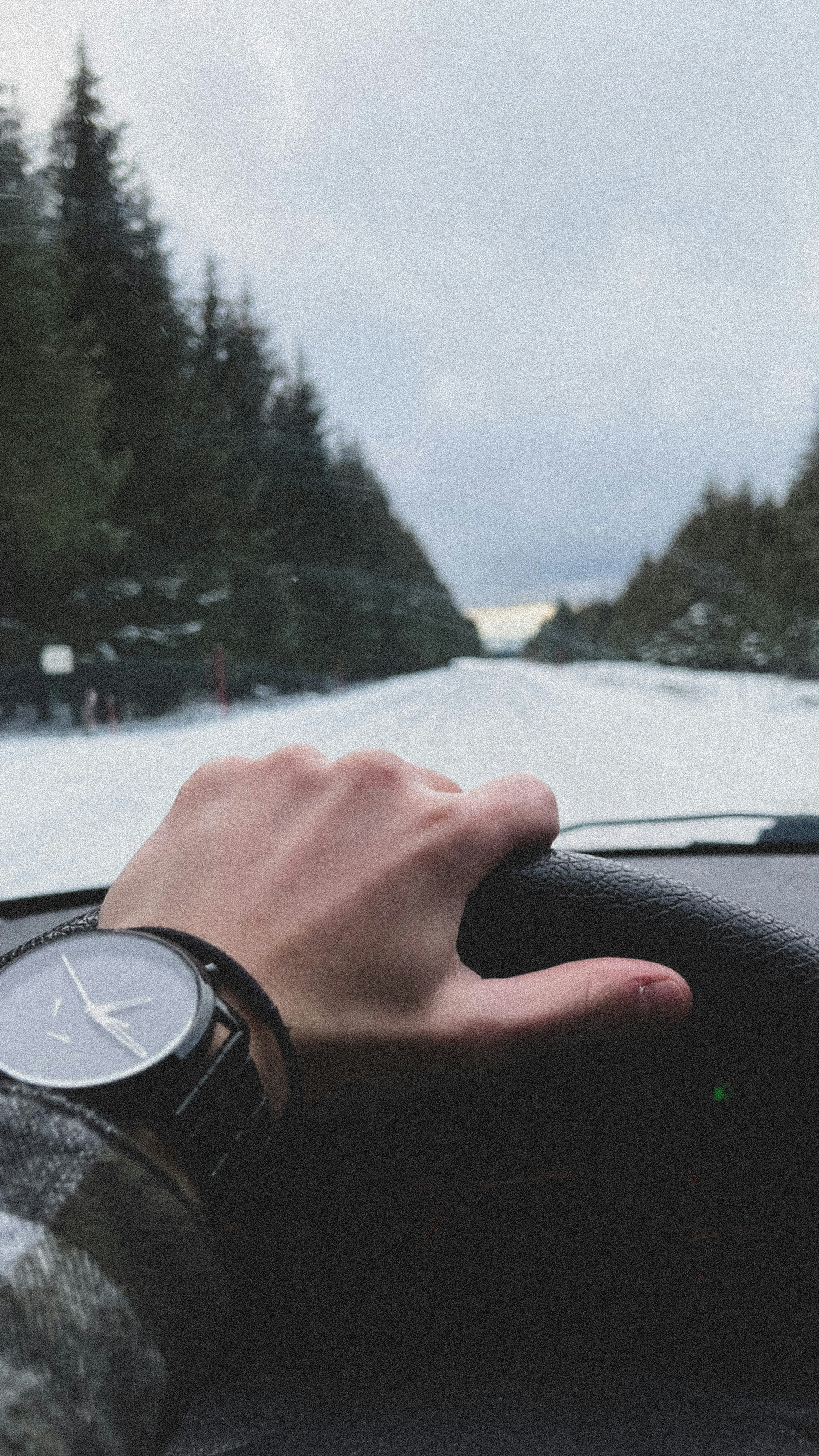 Grip on Winter Light: A Driver's View Through Snowbound Pines