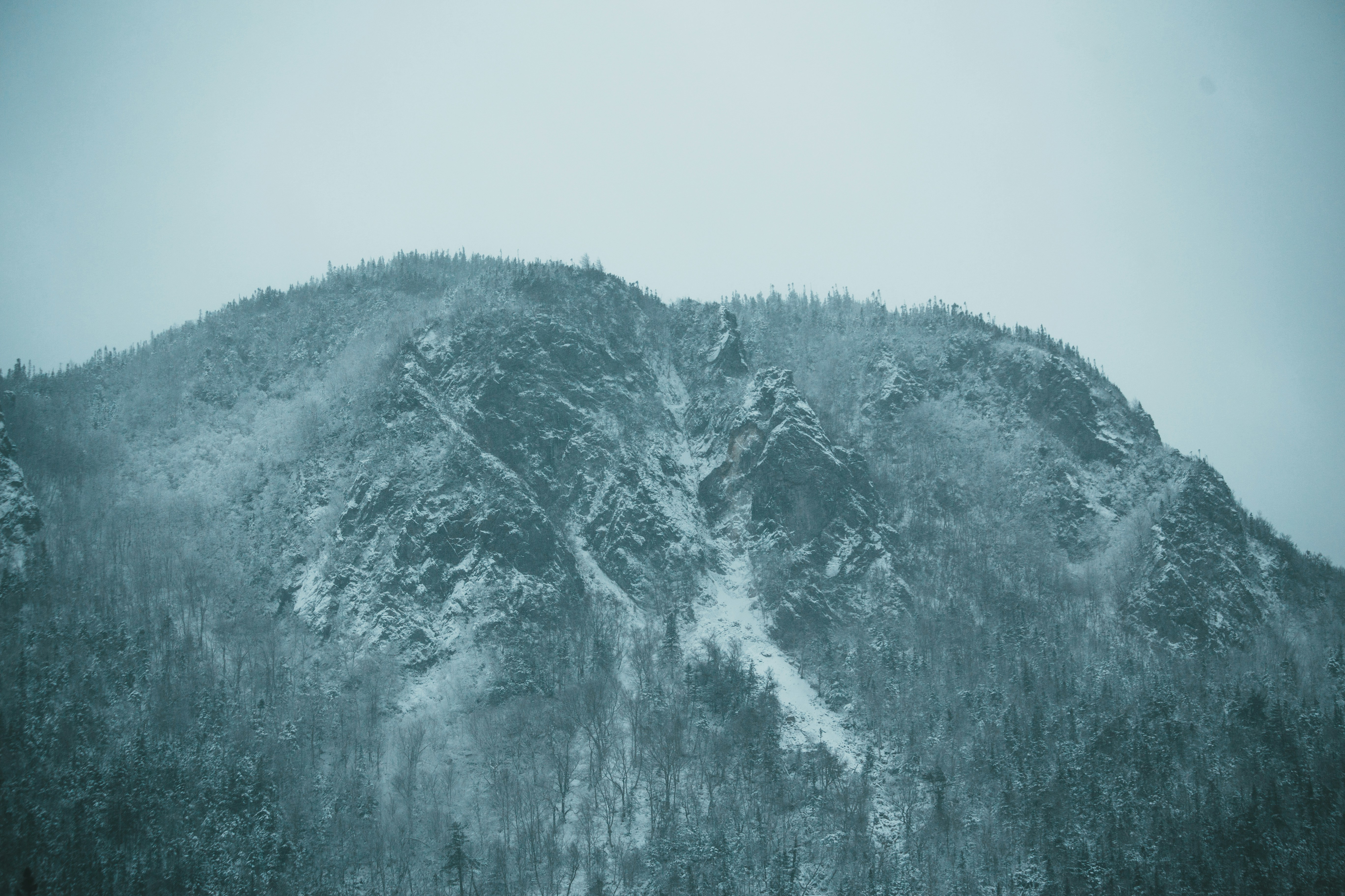 Snow-covered mountain range under a pale sky, showcasing rugged terrain and dense forests. The atmosphere conveys a serene winter landscape.