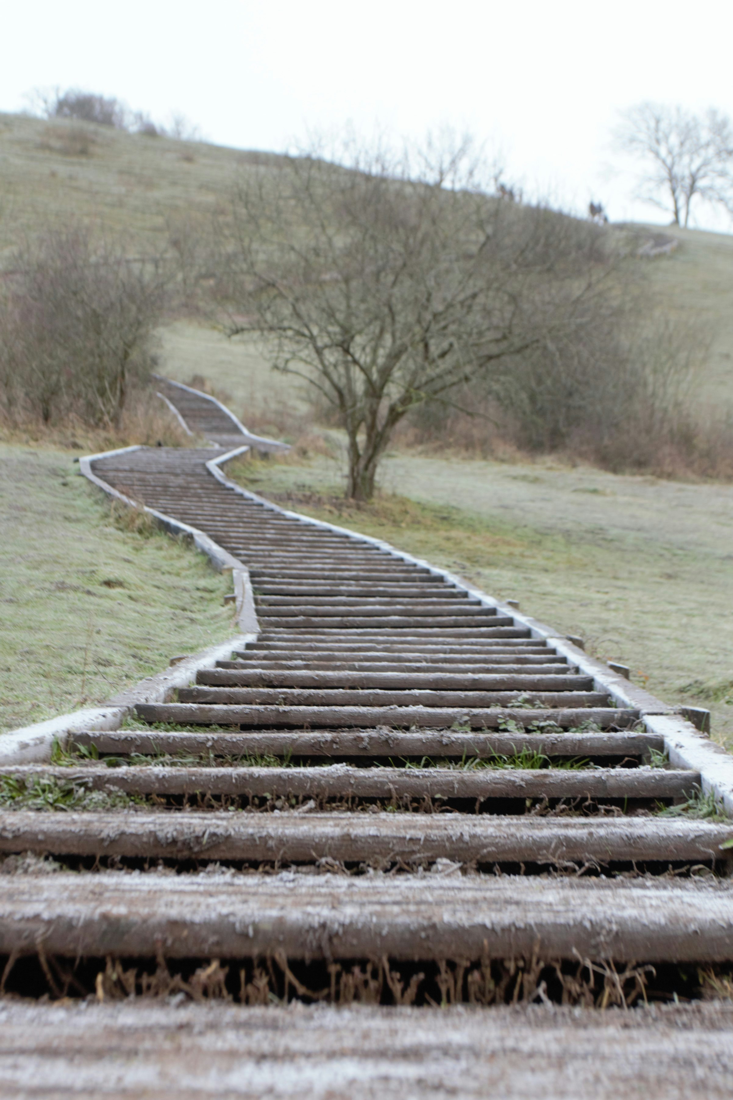 brown wooden pathway on green grass field during daytime