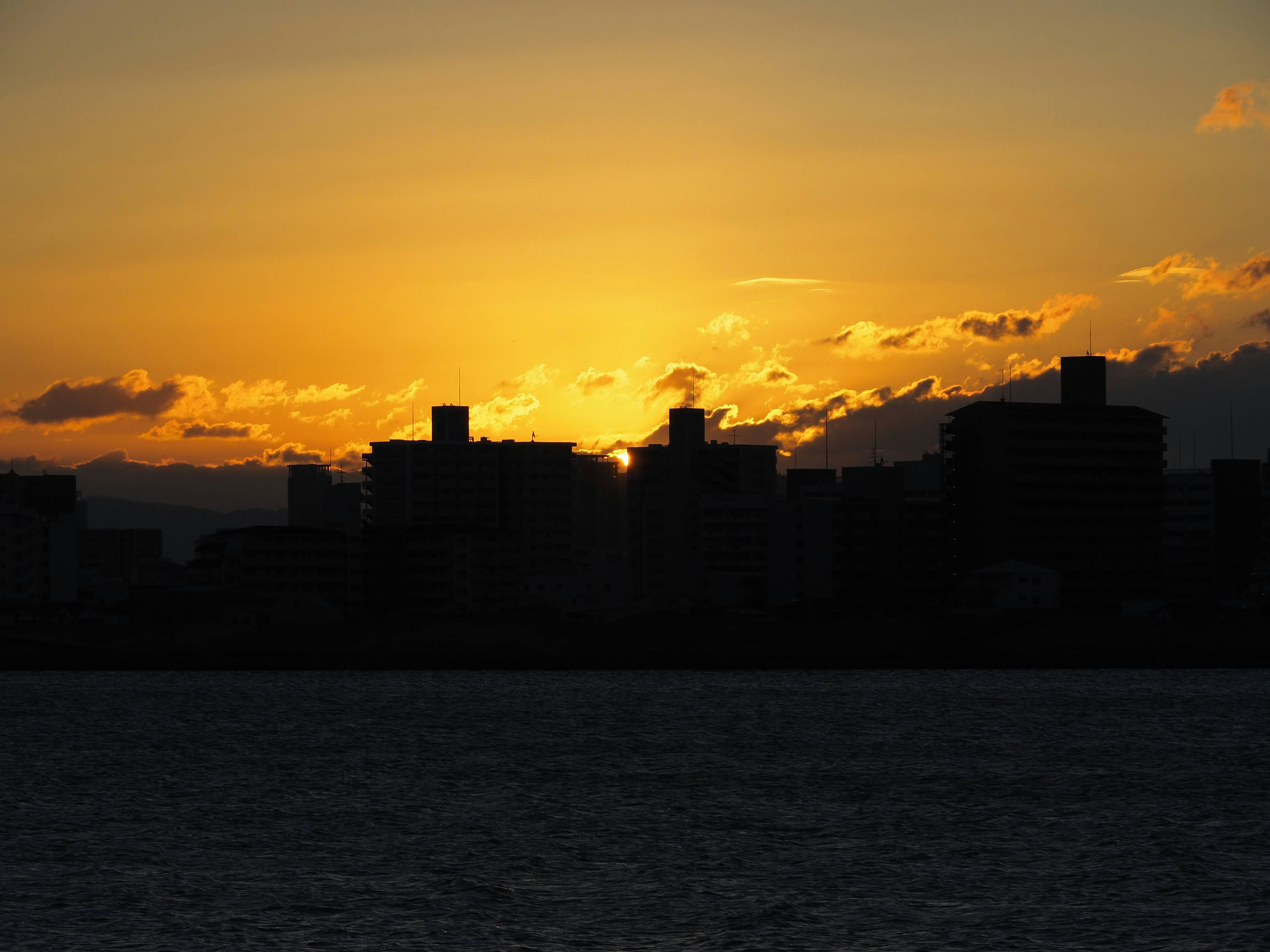 D Konishi (@zephyr1100) | Unsplash Photo Community