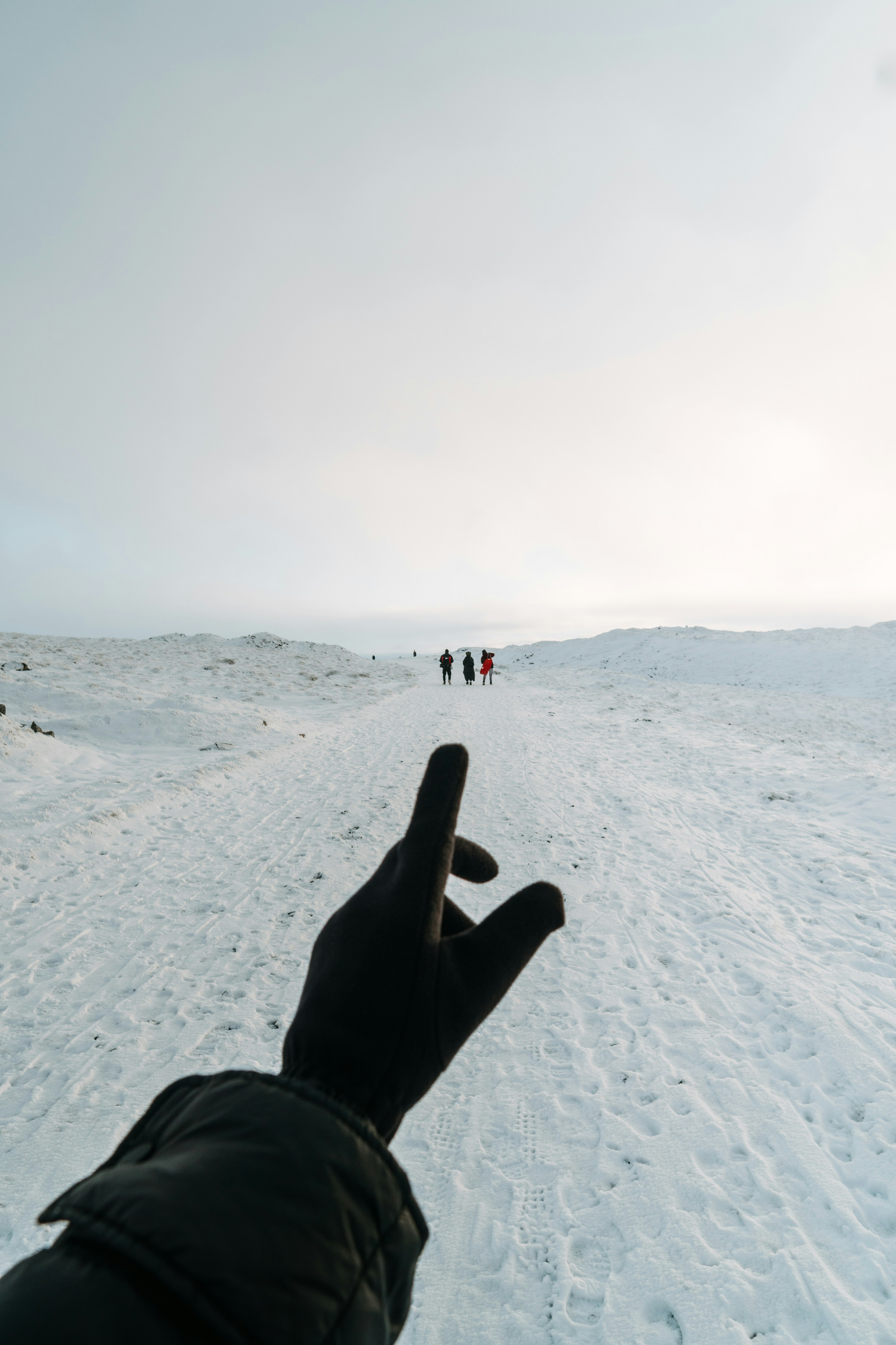 Gloved Hand at the Snowbound Horizon: A Distant Trek Emerges