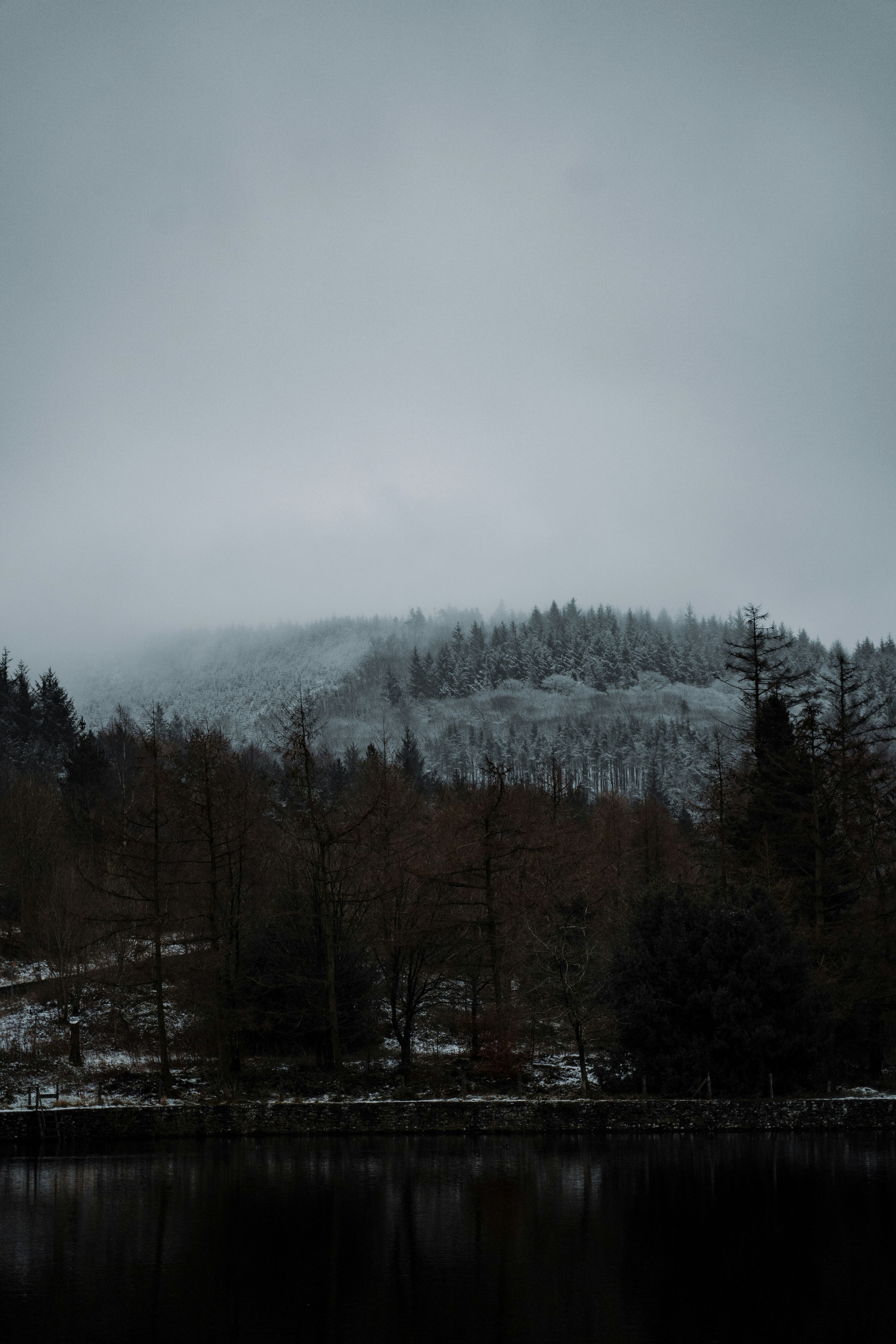 Moody Landscape Pictures | Download Free Images on Unsplash