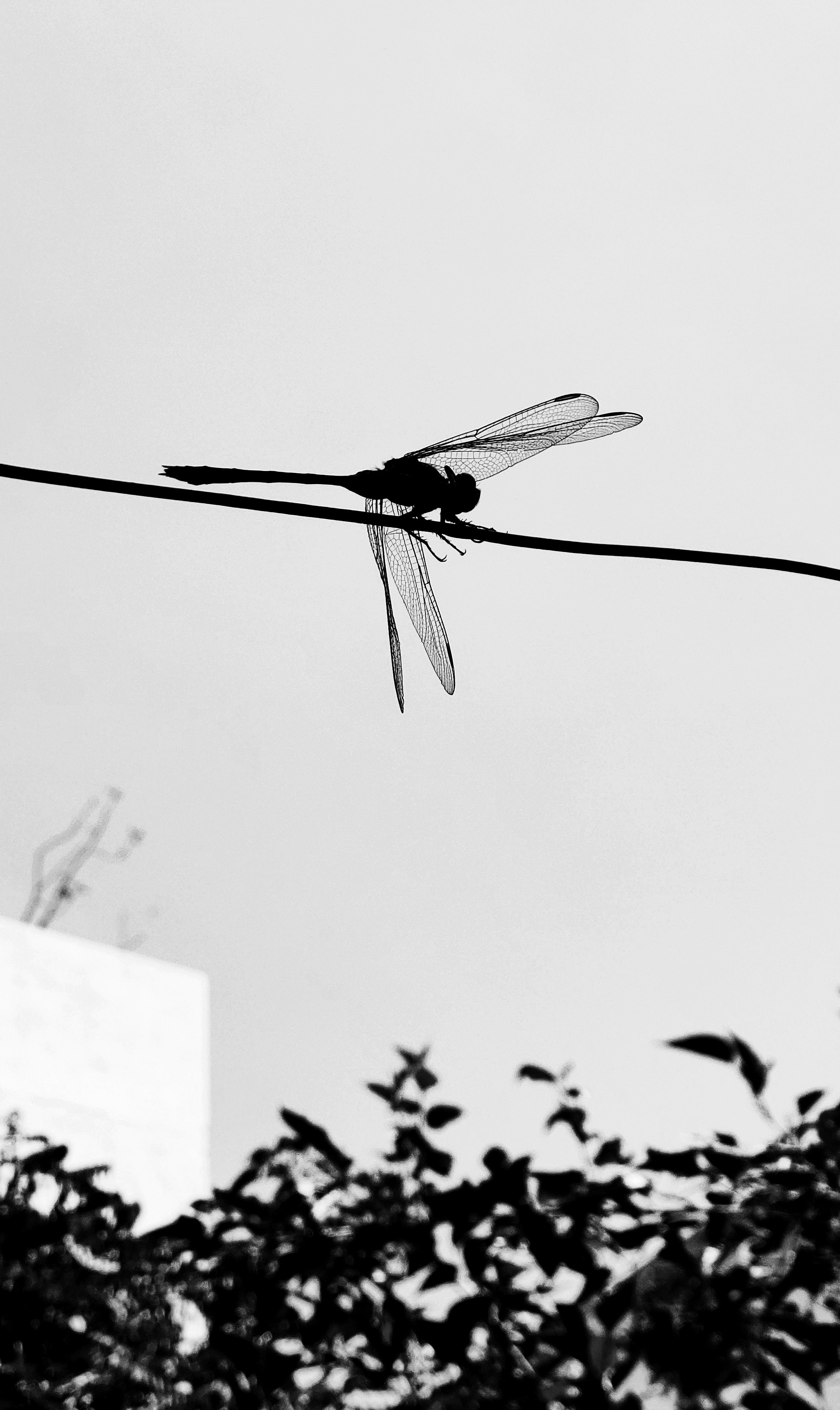 Ritwik gupta (@me_20198) | Komunitas Foto Unsplash