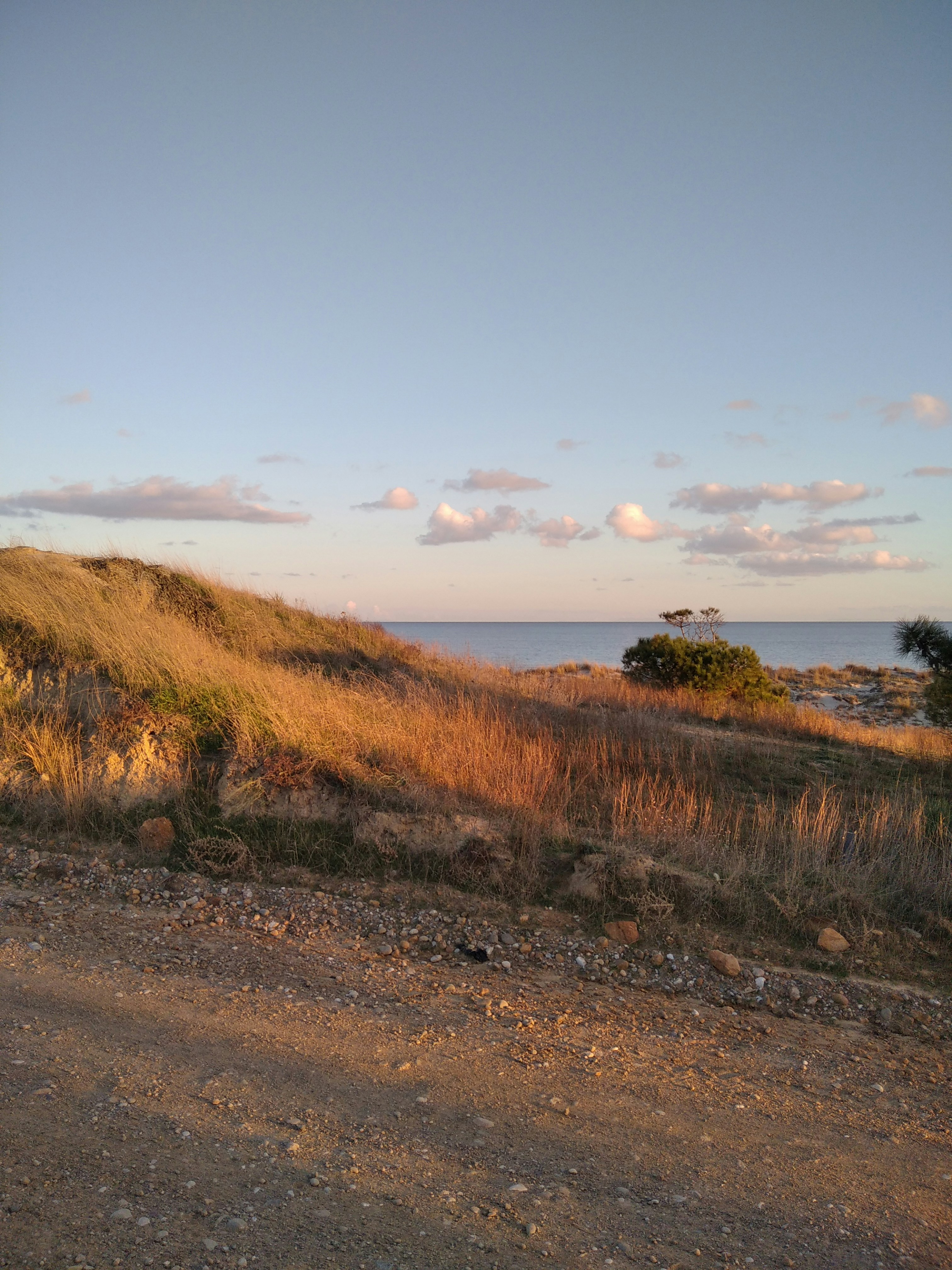 Coastal Golden Hour: Dunes, Sea, and a Quiet Horizon