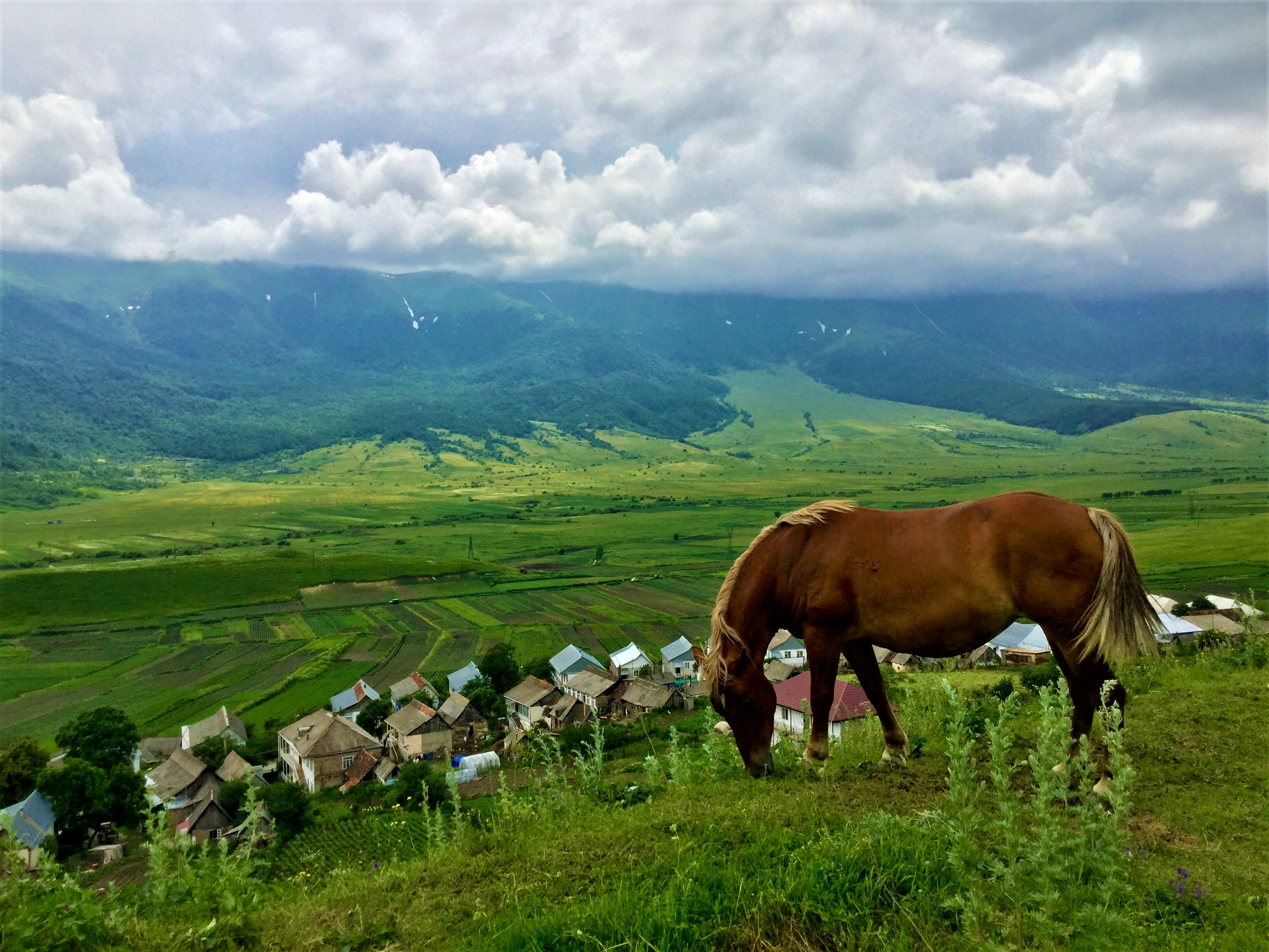 A horse grazes on a lush hillside overlooking a picturesque village nestled in a verdant valley, framed by majestic mountains under a cloudy sky.