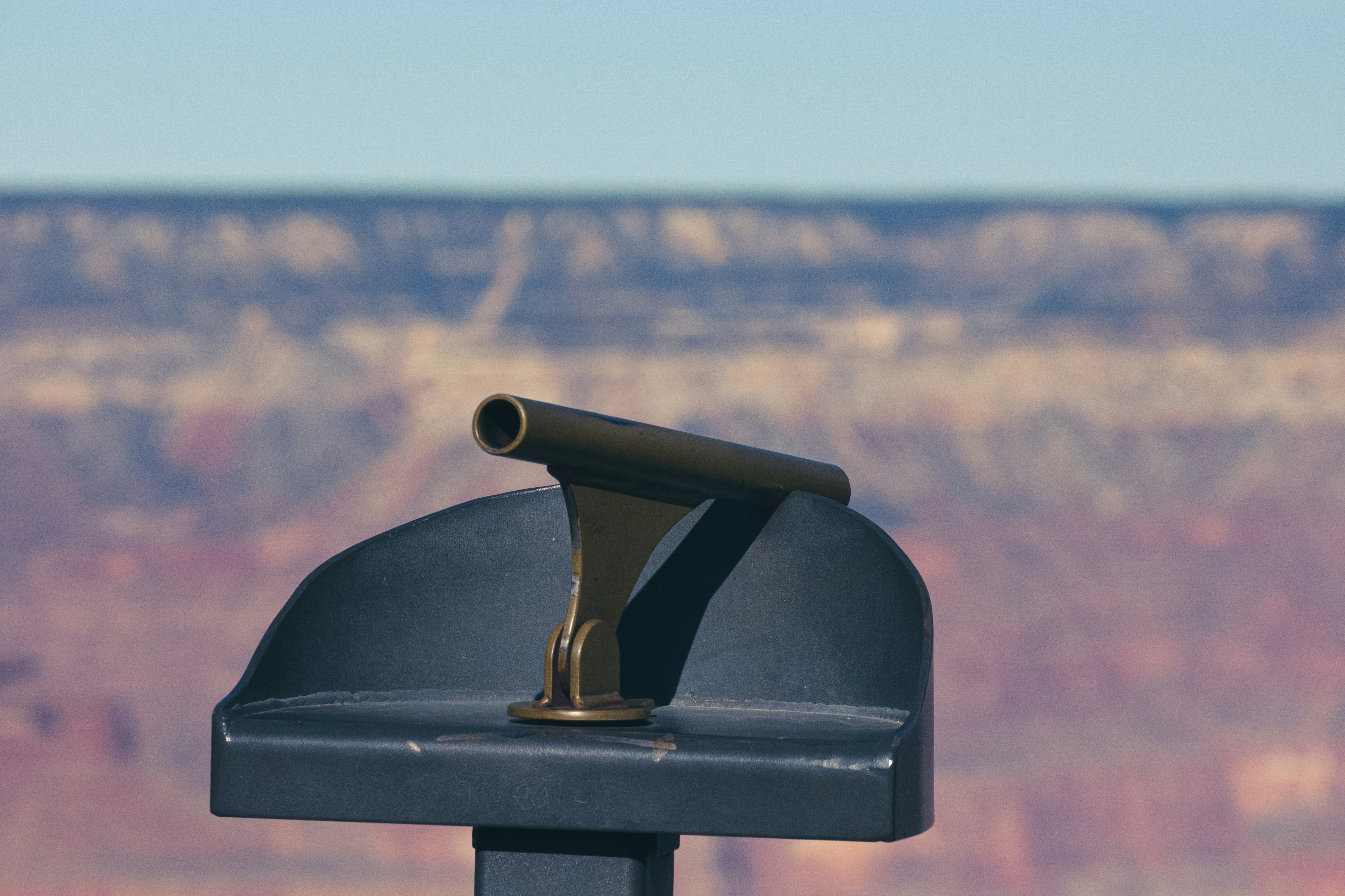 Bronzed Gaze Over the Canyon