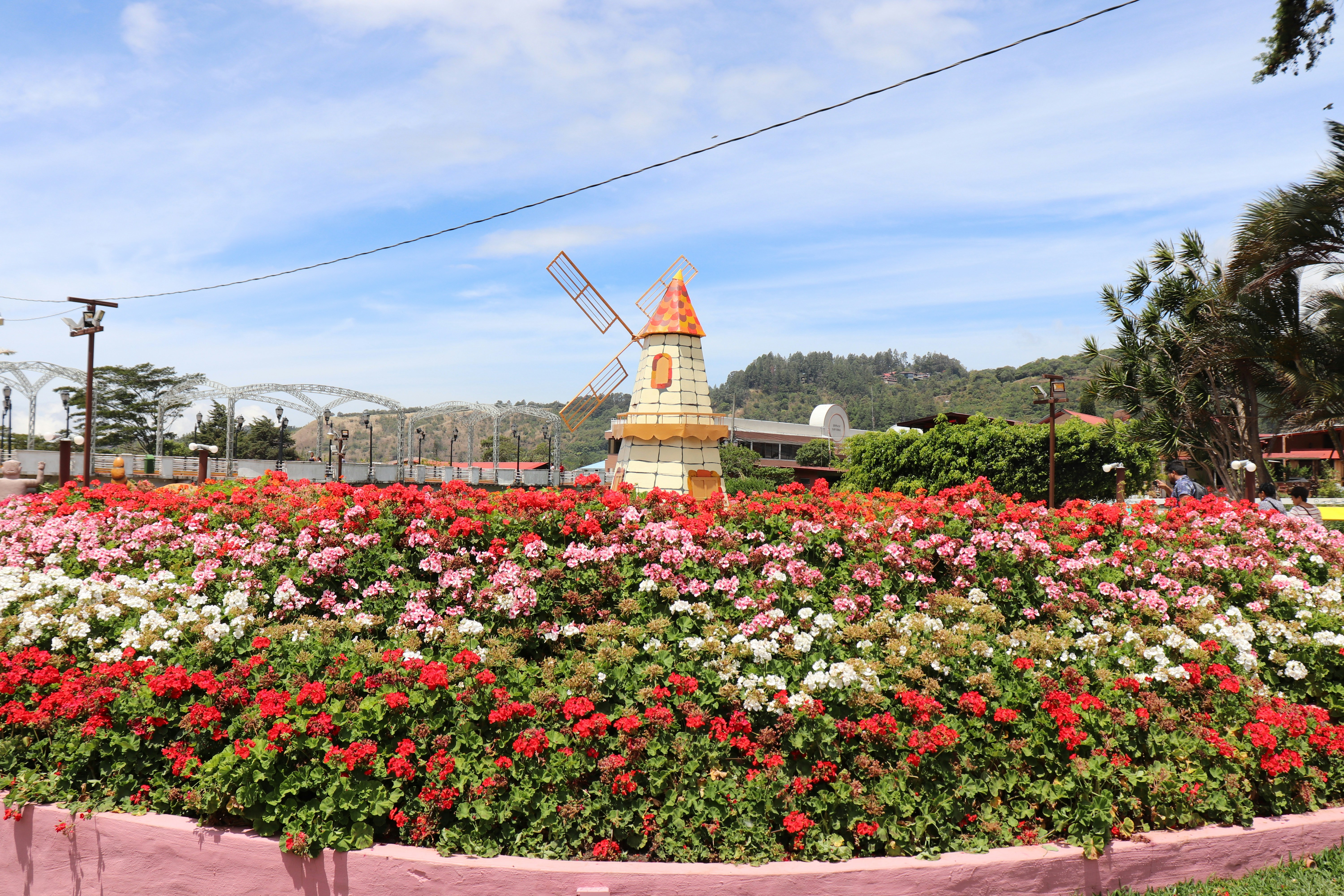 Panama | 37 best free panama, plant, outdoor and central america photos ...