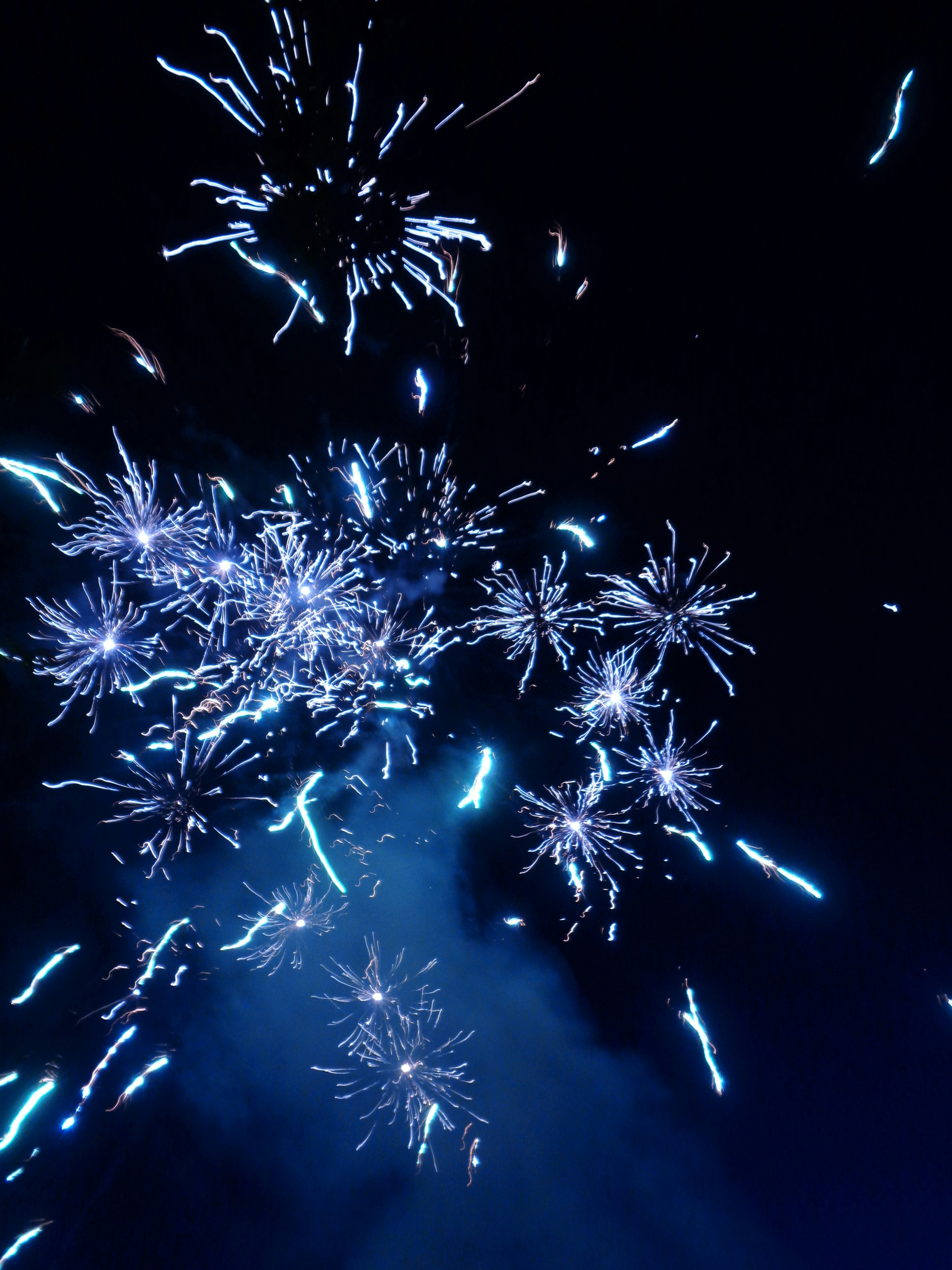 Brilliant blue fireworks bursting against a dark night sky, creating a dazzling display of light and color.