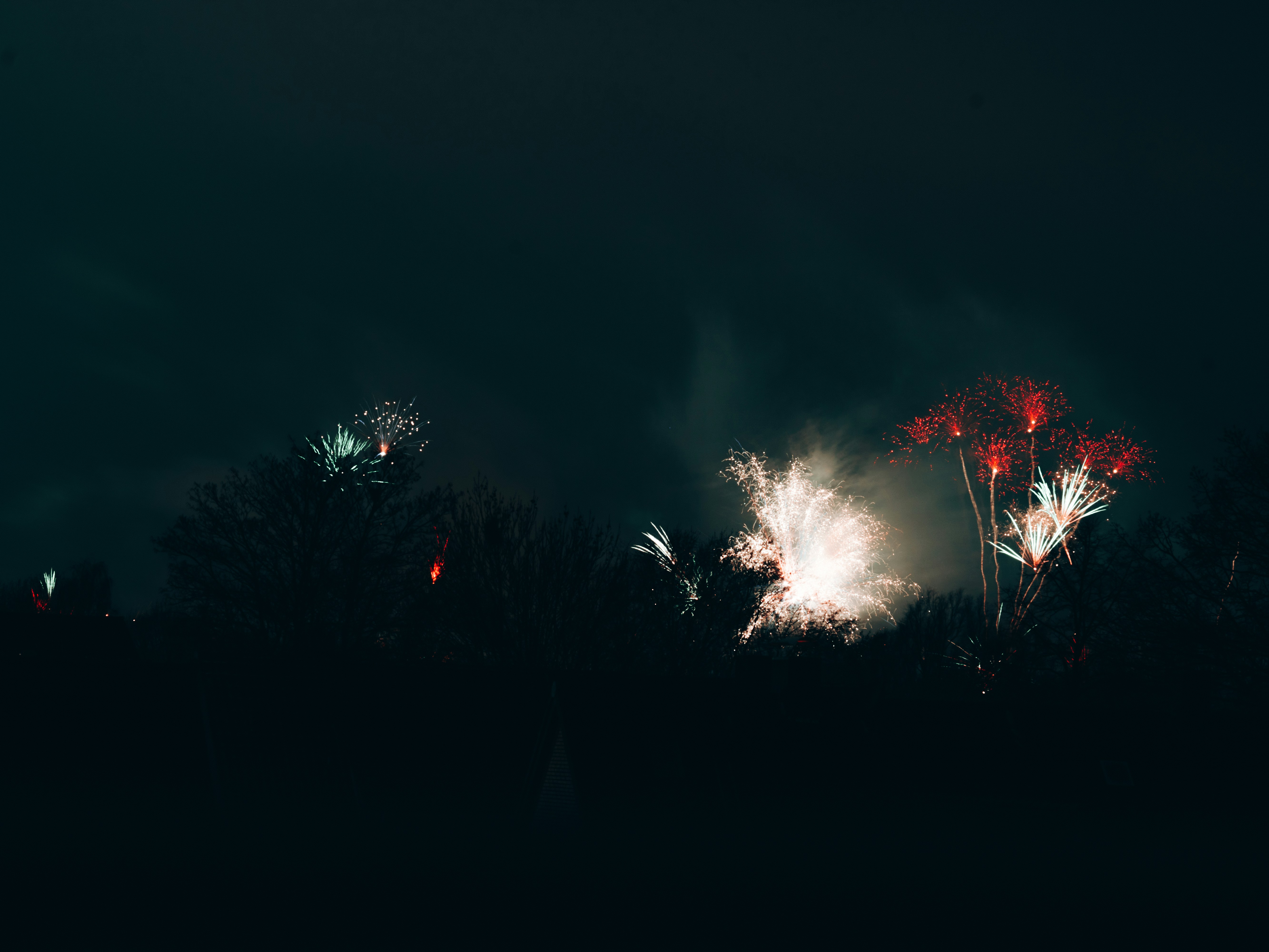 Fireworks erupting against a darkened sky, illuminating the silhouettes of trees. The scene captures the vibrant colors and dynamic patterns of the pyrotechnics.
