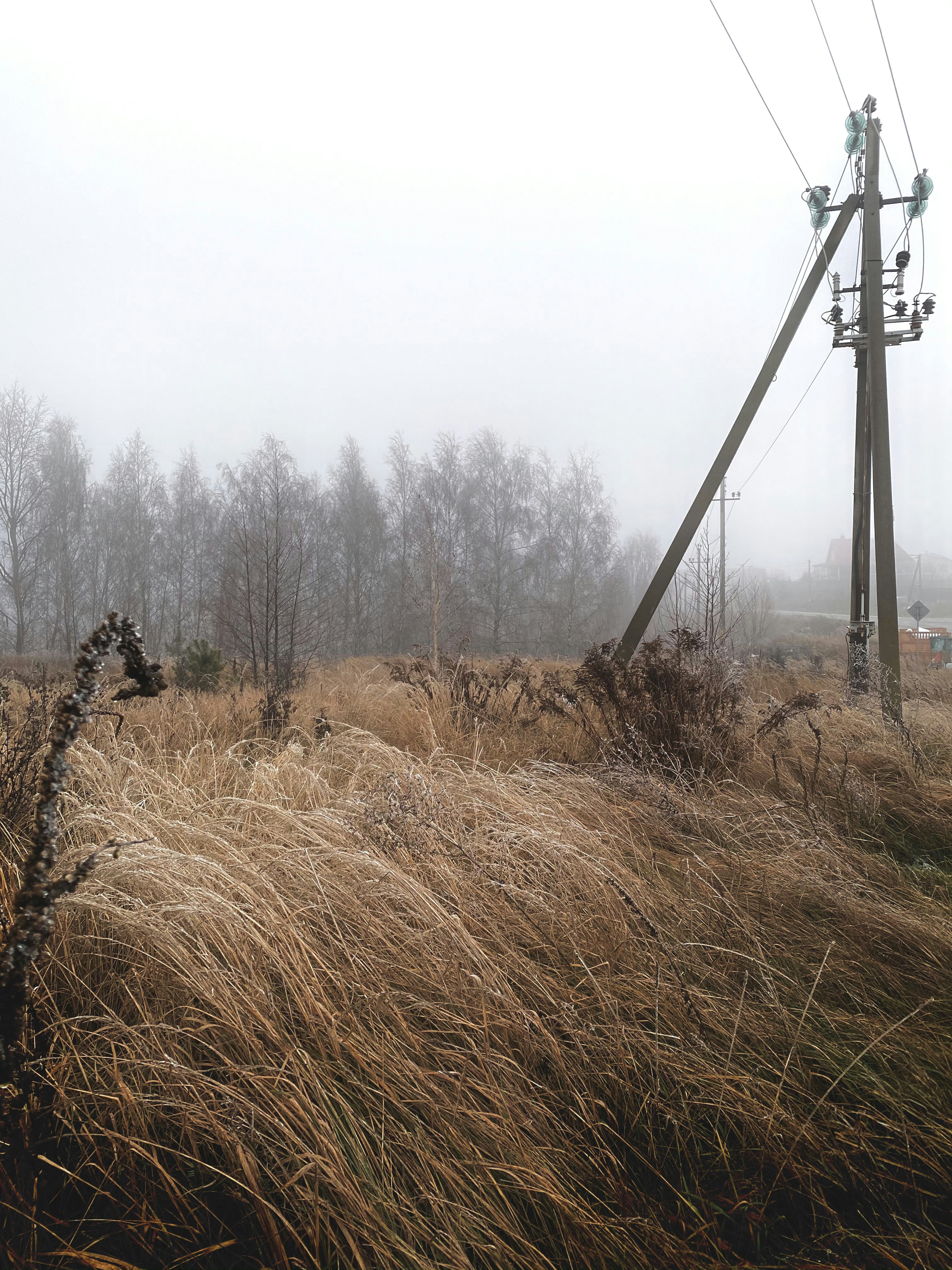 Leaning Sentinel in the Fog: Power Lines Slice Through a Quiet Field