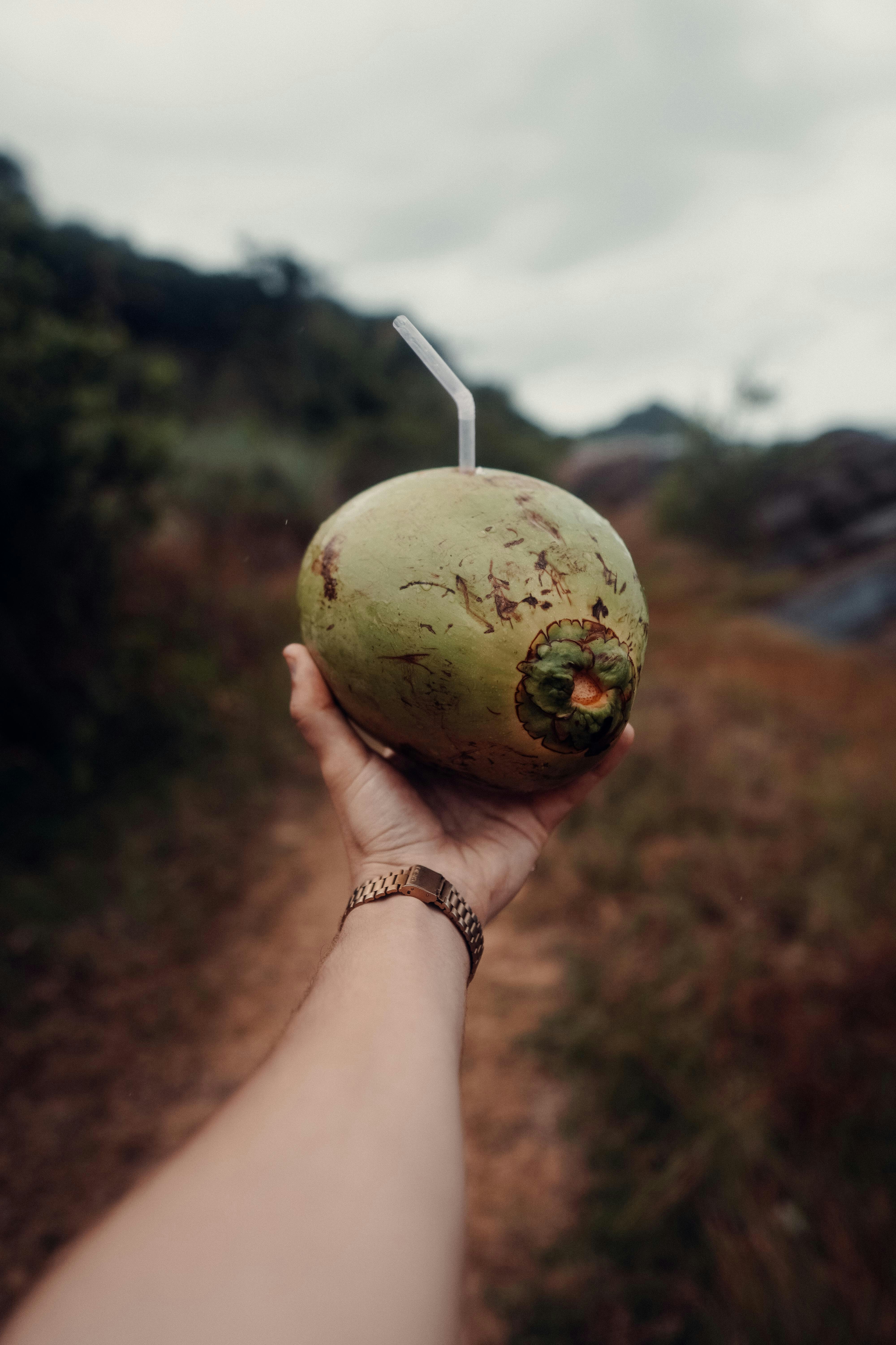 Coconut in Hand, Field in Focus