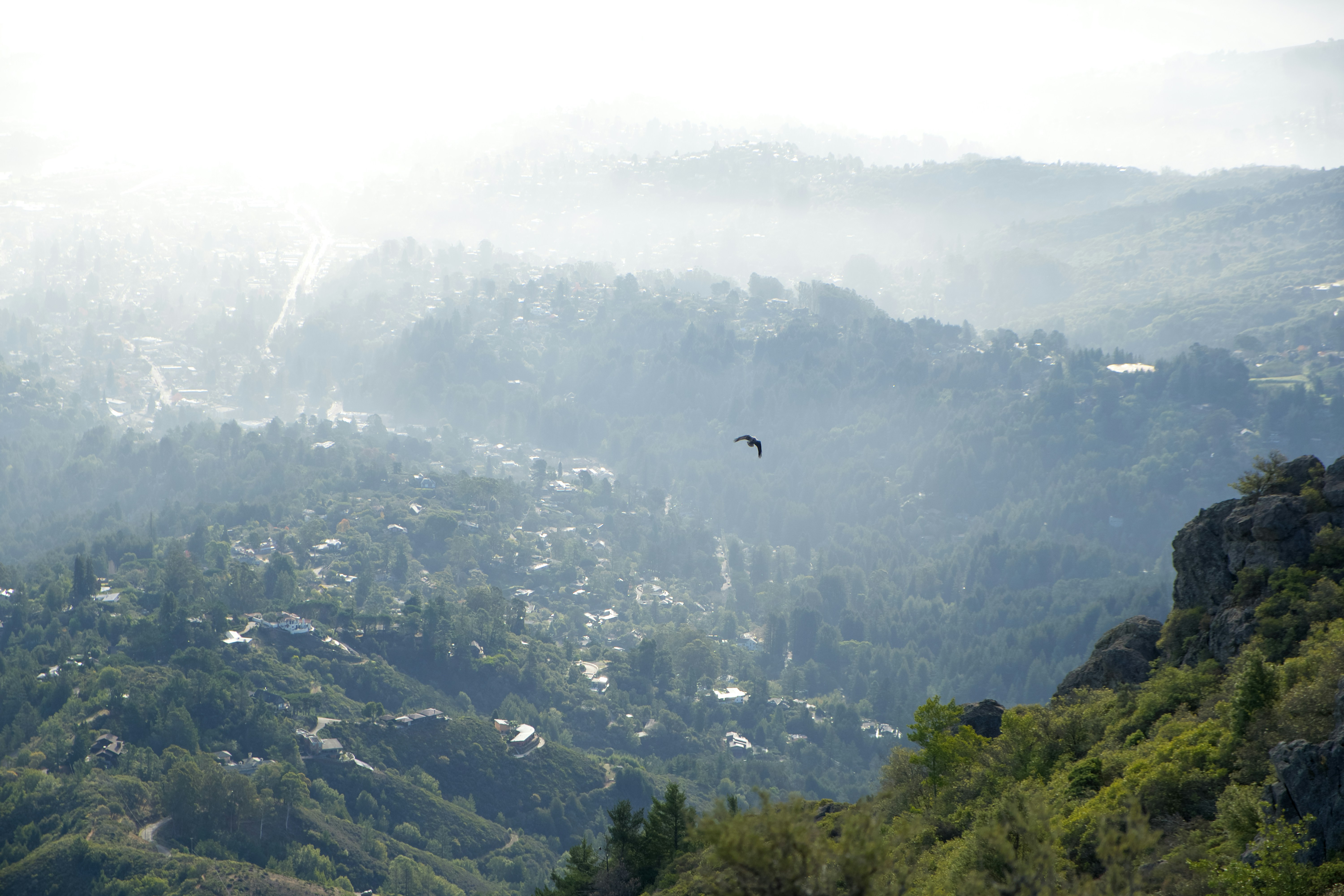 A solitary bird glides over a mist-laden valley, revealing a tapestry of distant hills and scattered homes. The atmosphere is serene and ethereal.