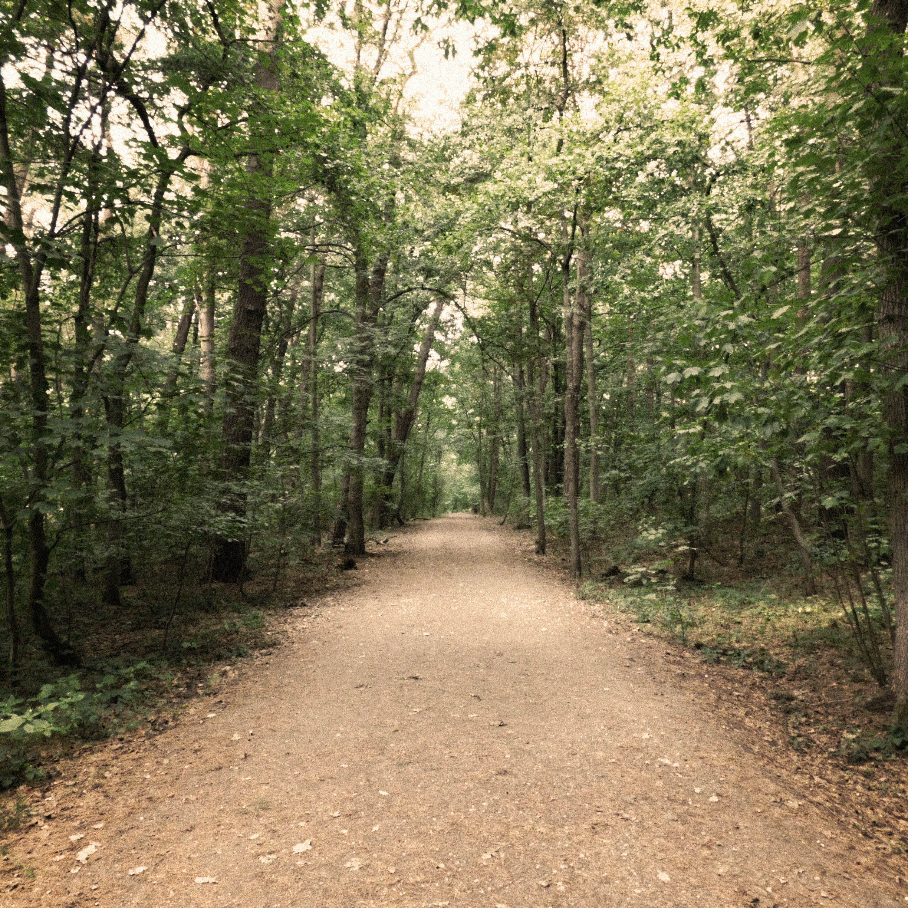 The Ground Noise (@thegroundnoise) | Comunidad de fotos de Unsplash