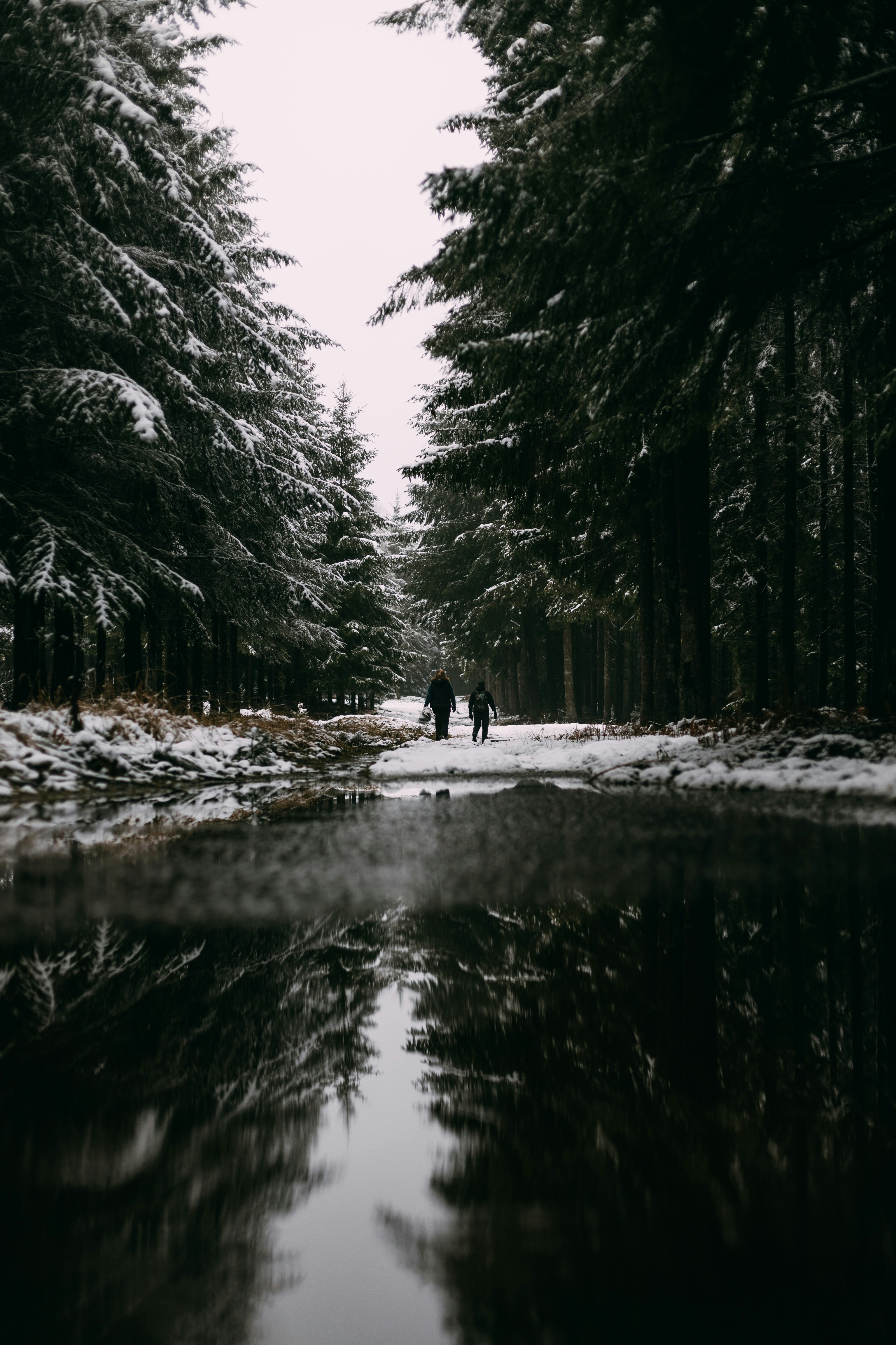 winter themes | 1 best free photos on Unsplash