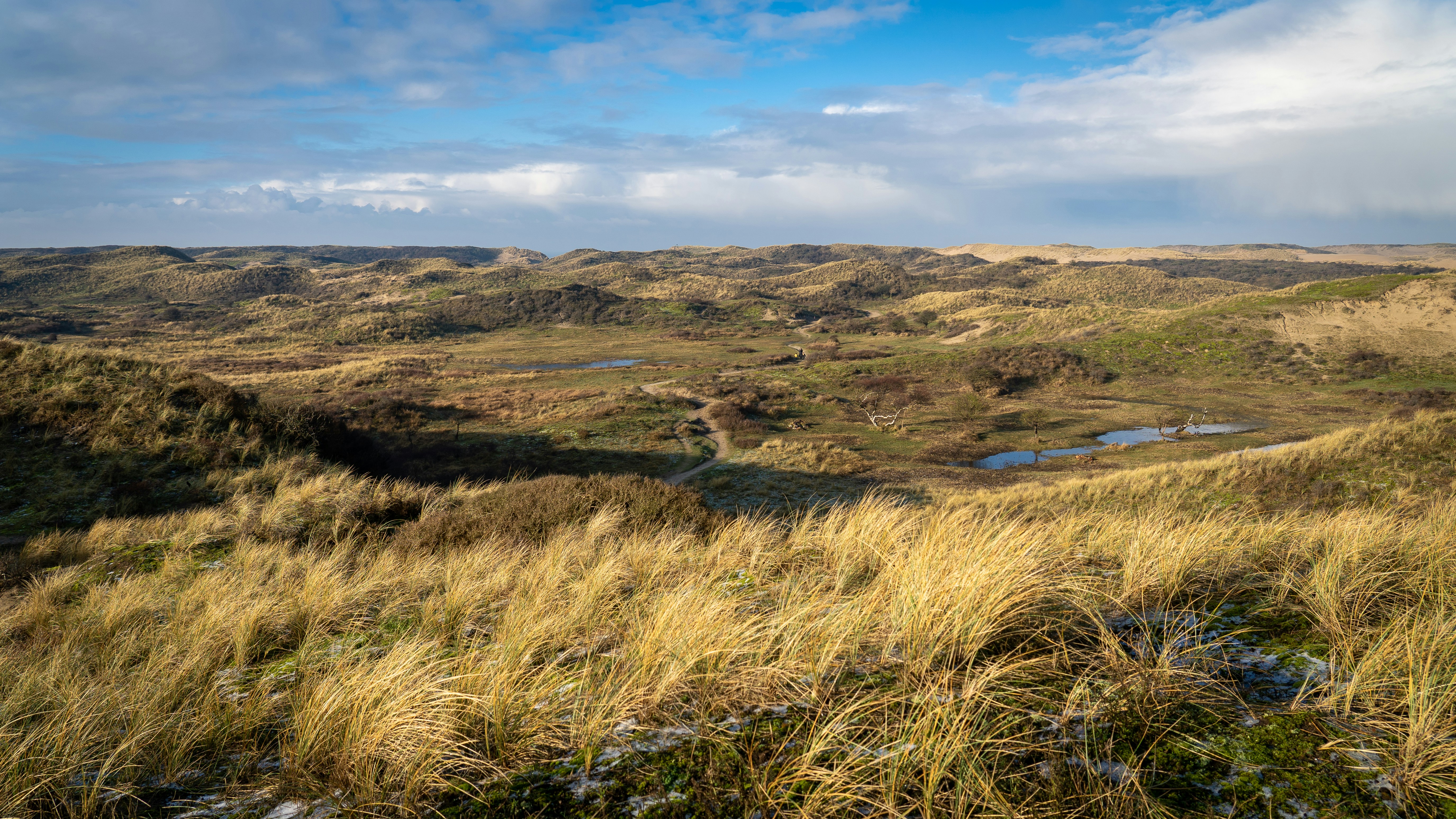 Vast coastal landscape with rolling dunes and patches of water reflecting the sky. Golden grasses sway gently in the foreground.