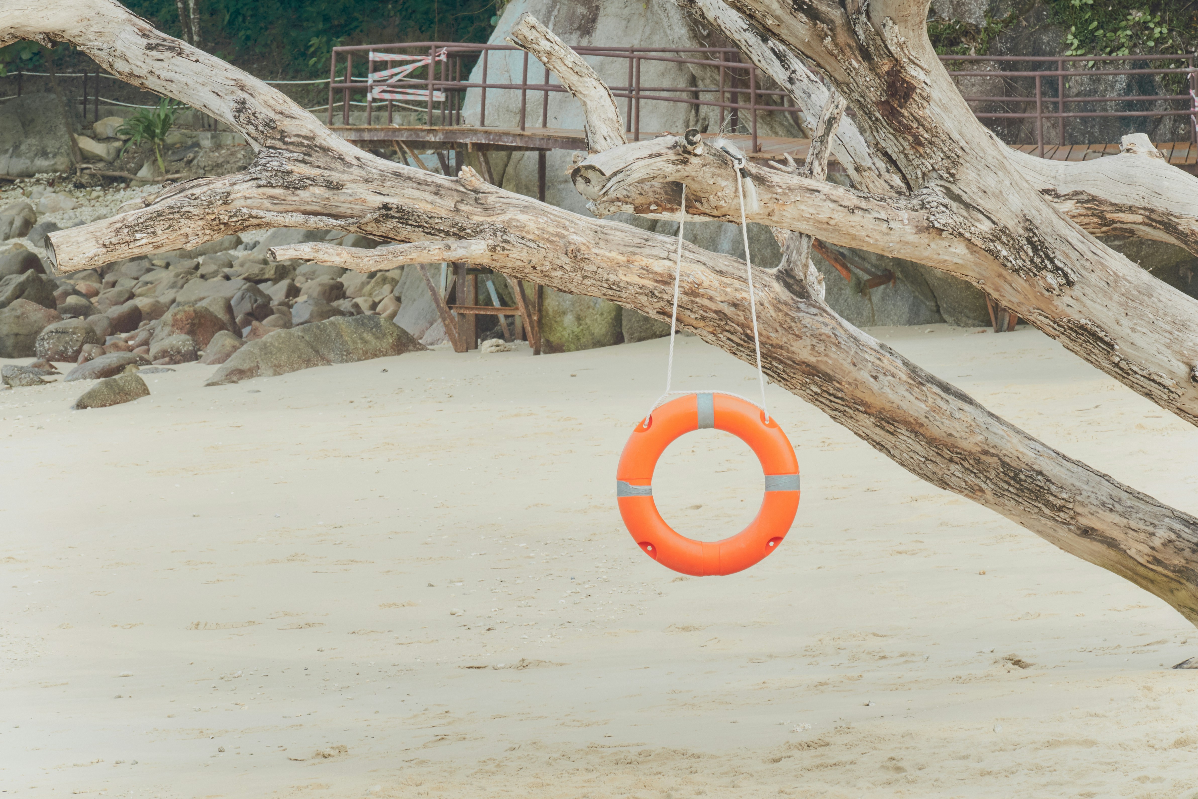 Orange Lifebuoy Adrift on a Weathered Driftwood Branch