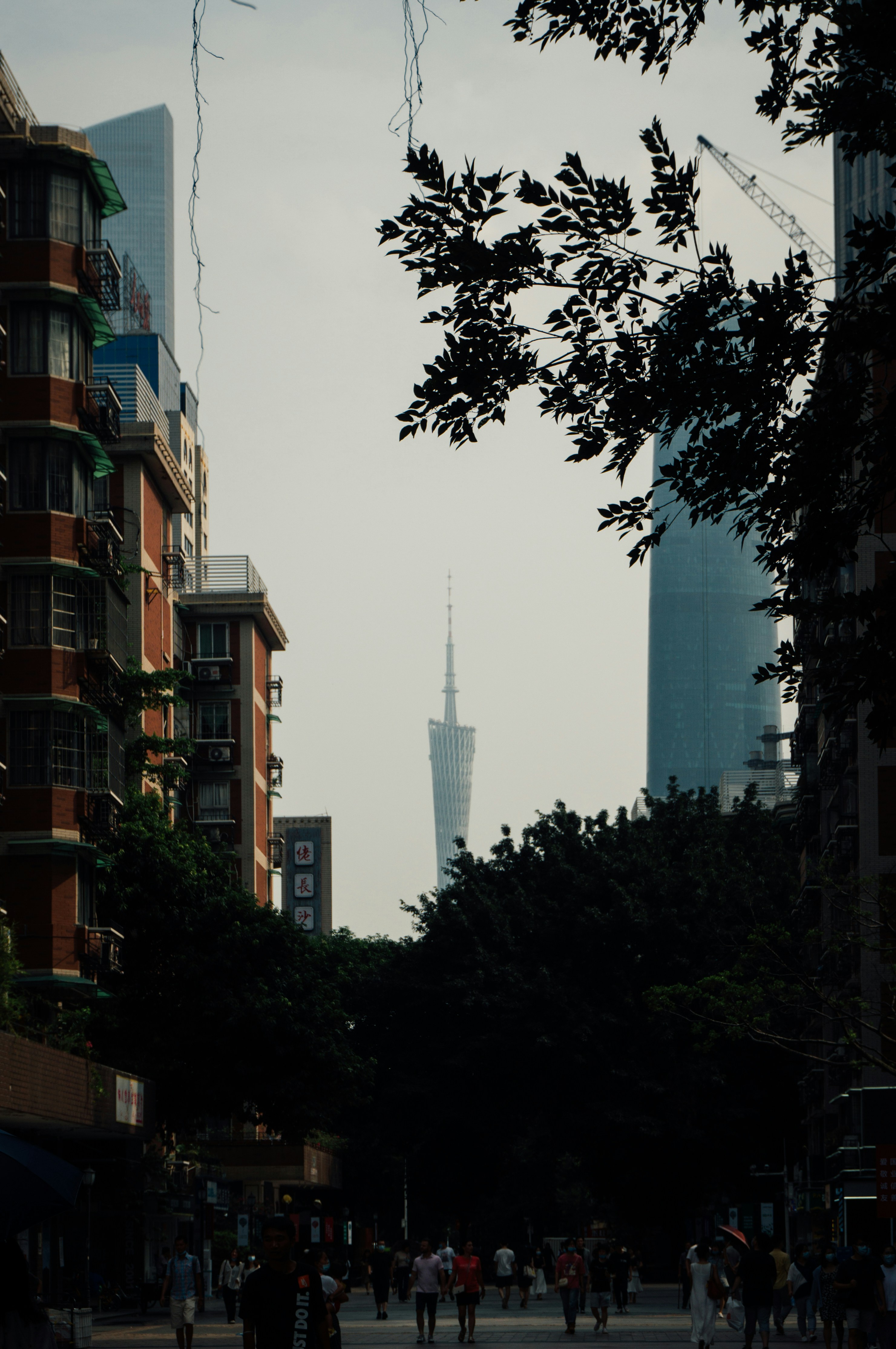 View of a bustling city street framed by foliage, with a prominent skyscraper peeking through the buildings. The Guangzhou Tower rises in the background.