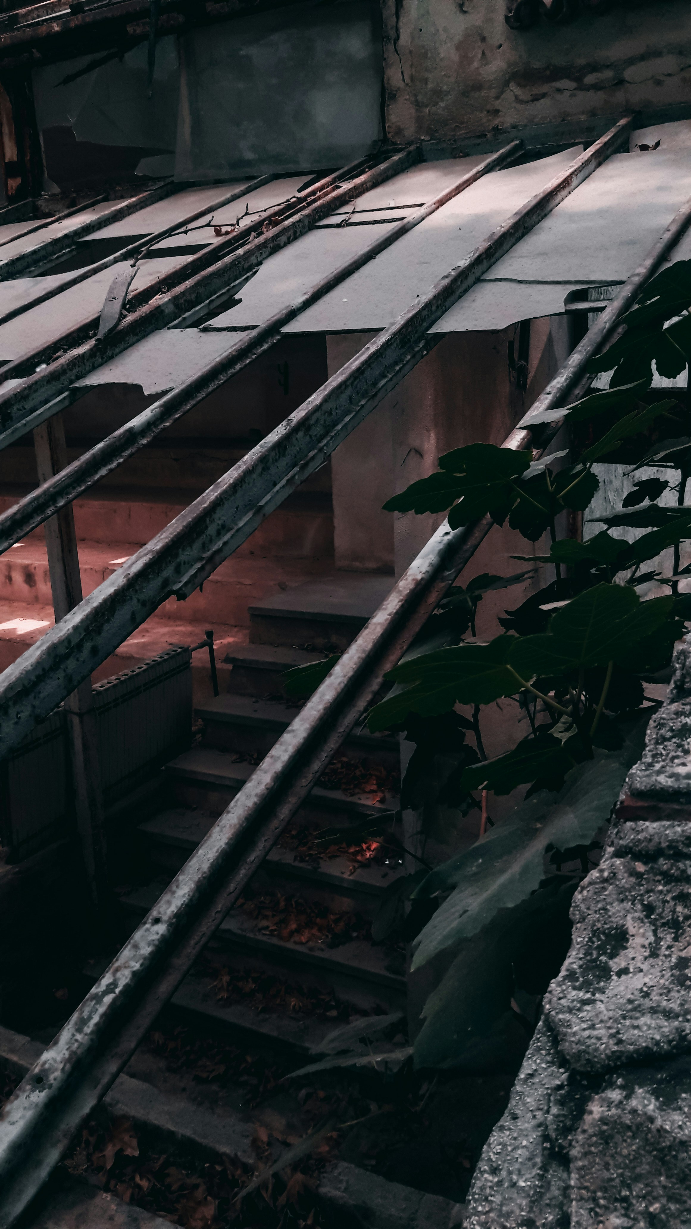 Rusting beams and overgrown foliage frame a staircase leading into a shadowy interior of a derelict building.