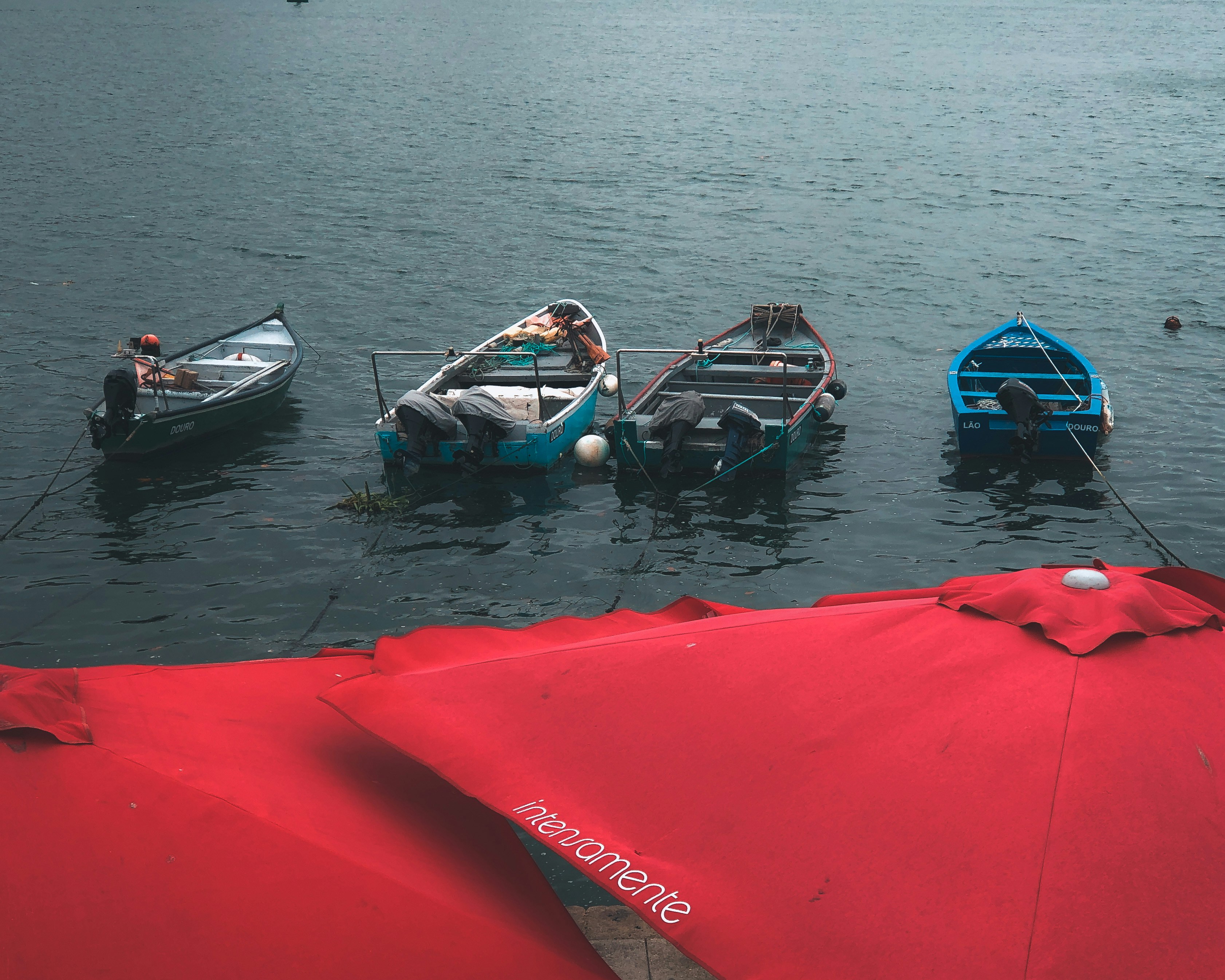 Crimson Foreground Framing Four Rowboats in a Calm Cove