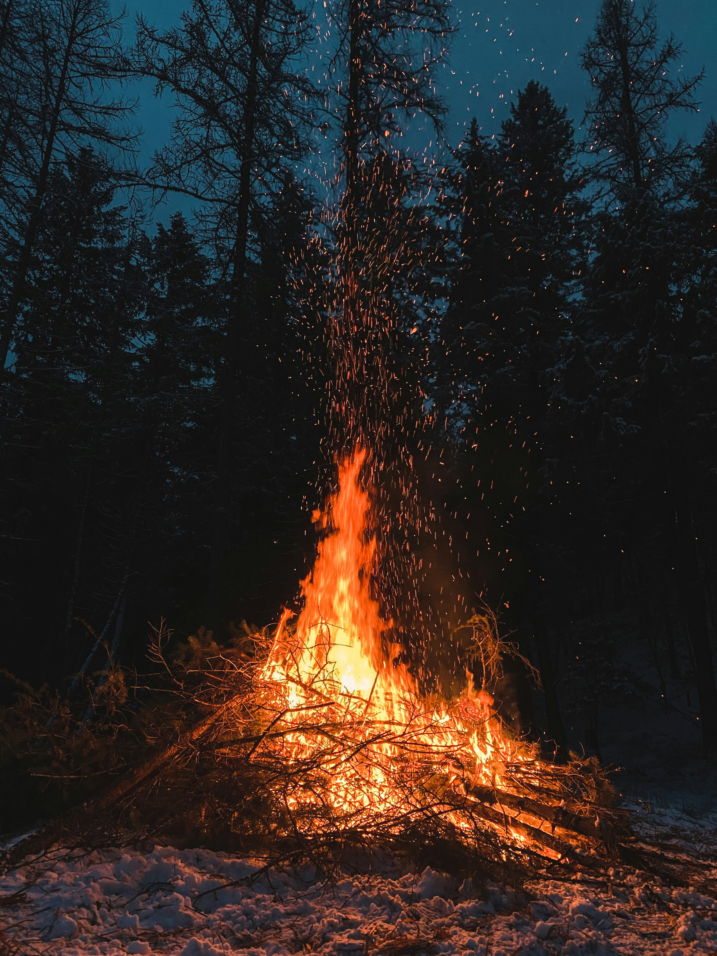 A vibrant campfire crackles amidst a dark forest, sending sparks into the night sky. The surrounding snow adds a contrasting chill to the warmth of the flames.